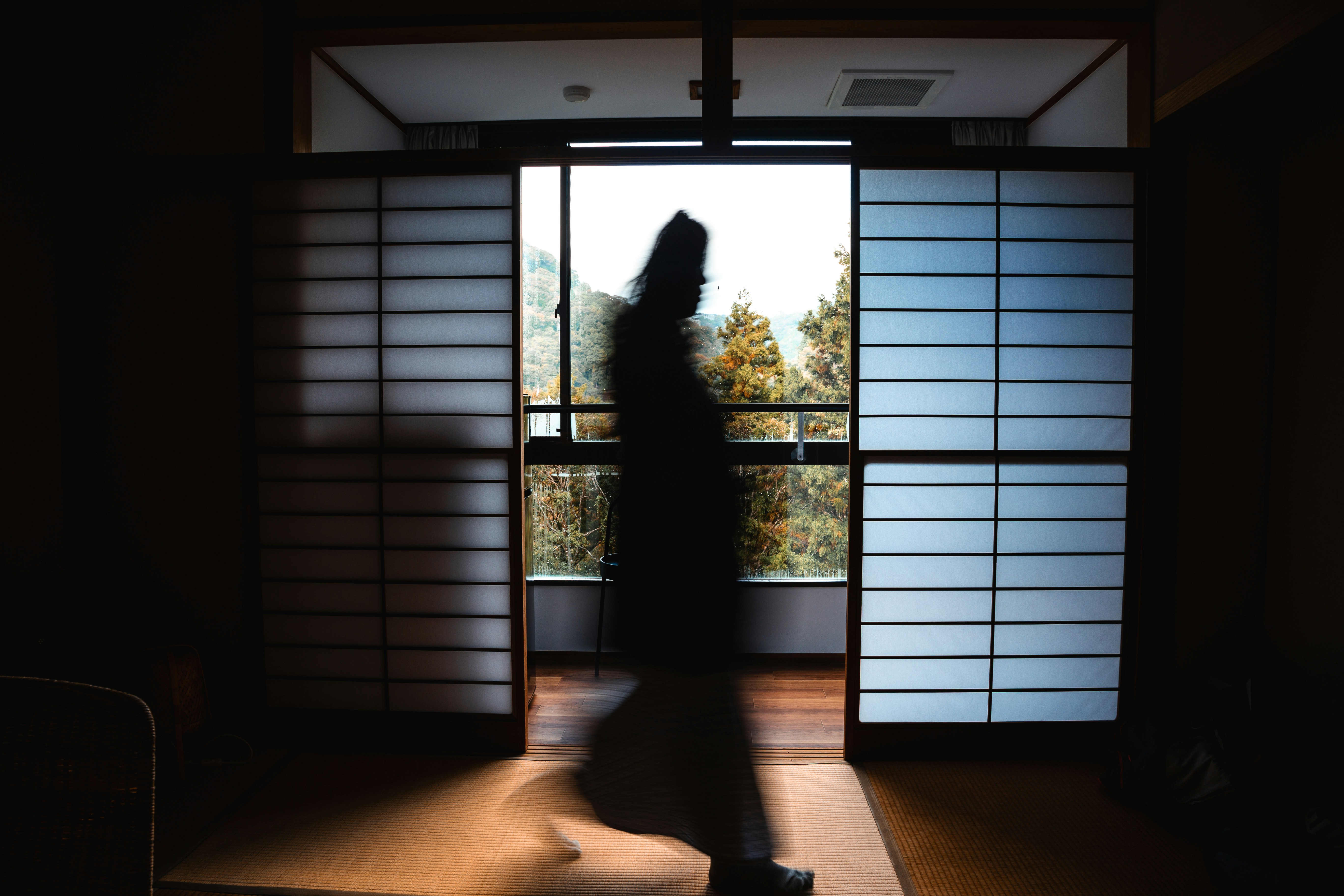 Shadowed Visitor in a Japanese Room Framed by Shoji Doors