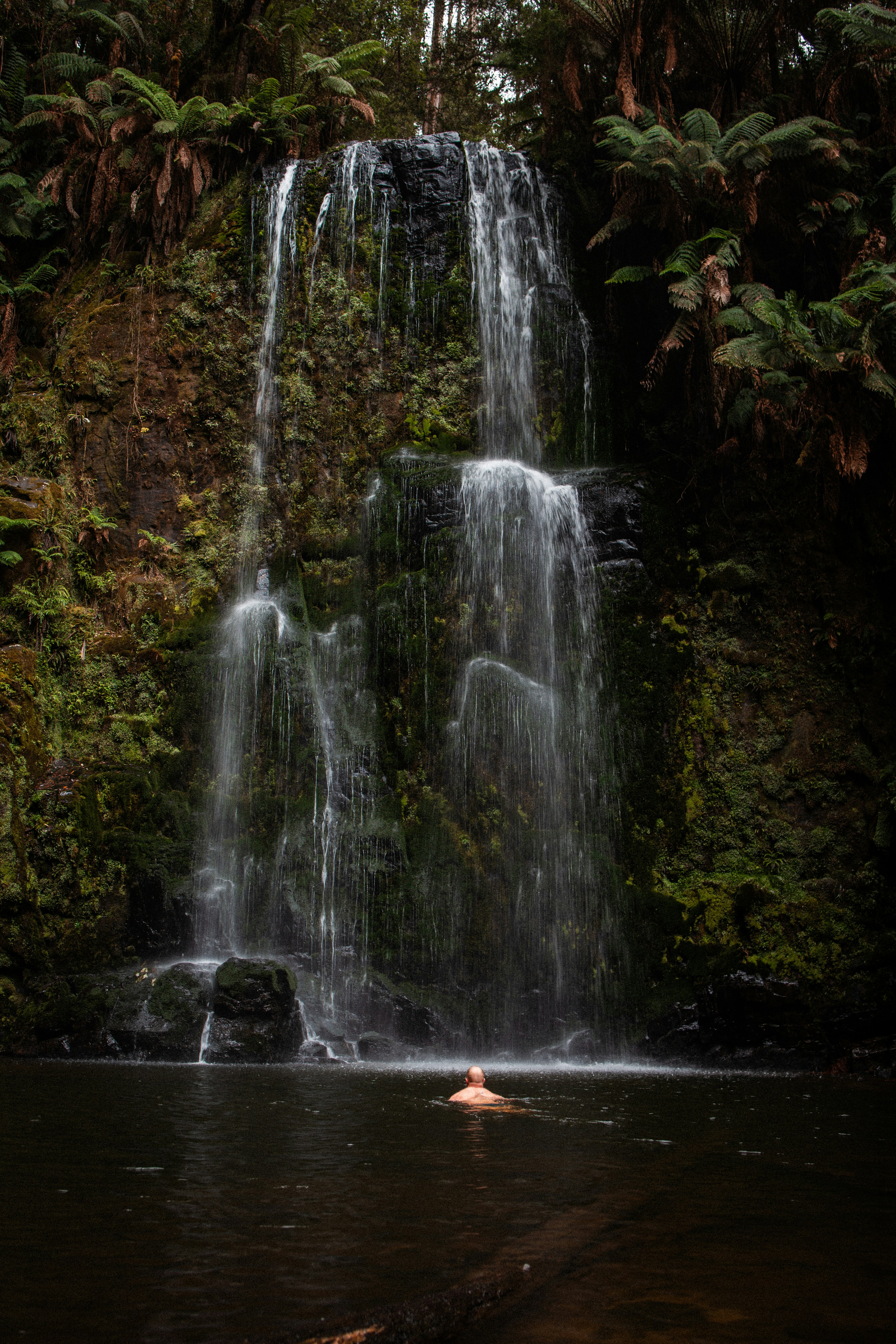 Liquid Curtain: A Lone Swimmer Beneath a Verdant Cascade
