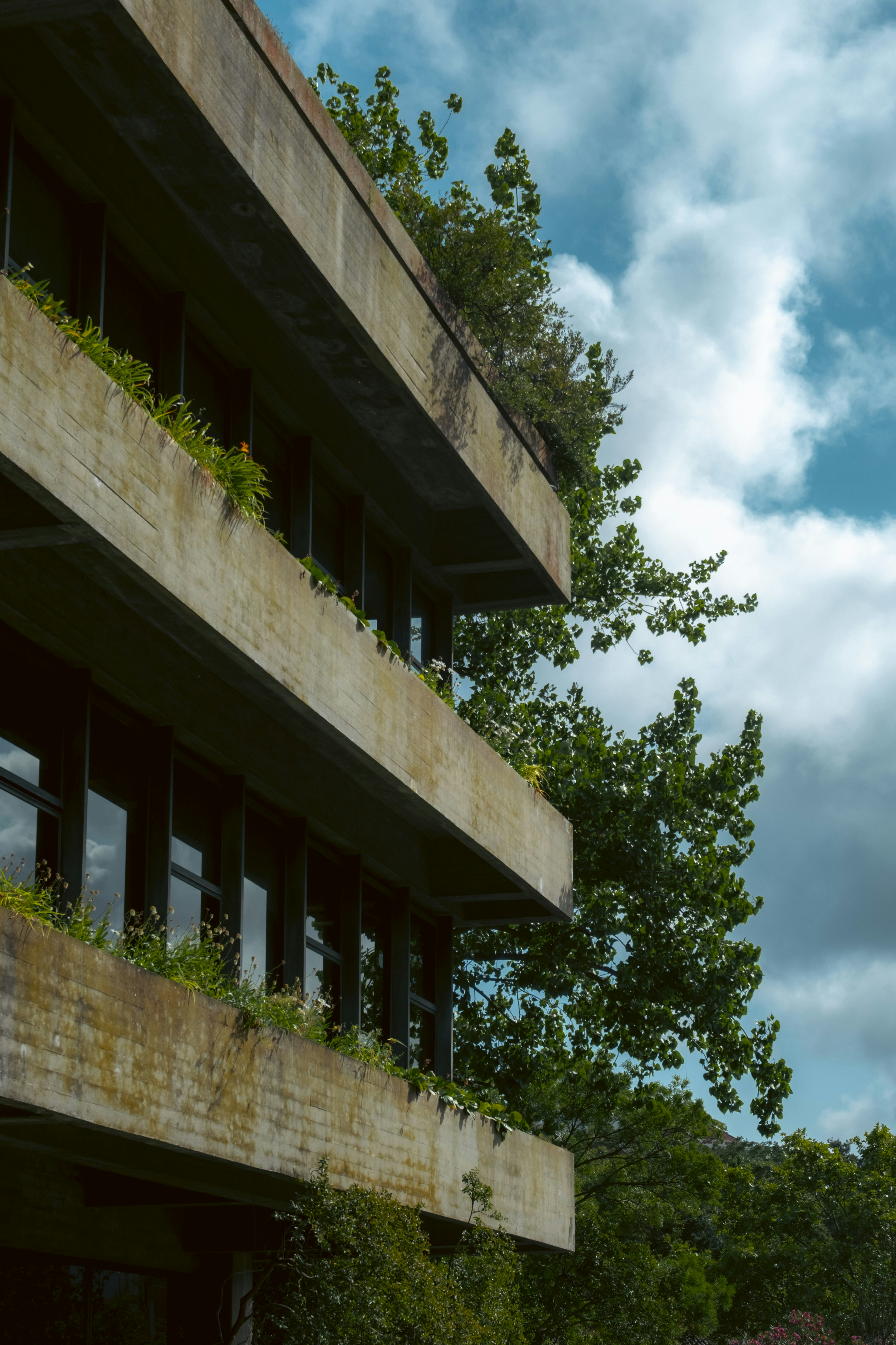 Verdant Refrain on Brutalist Tiers