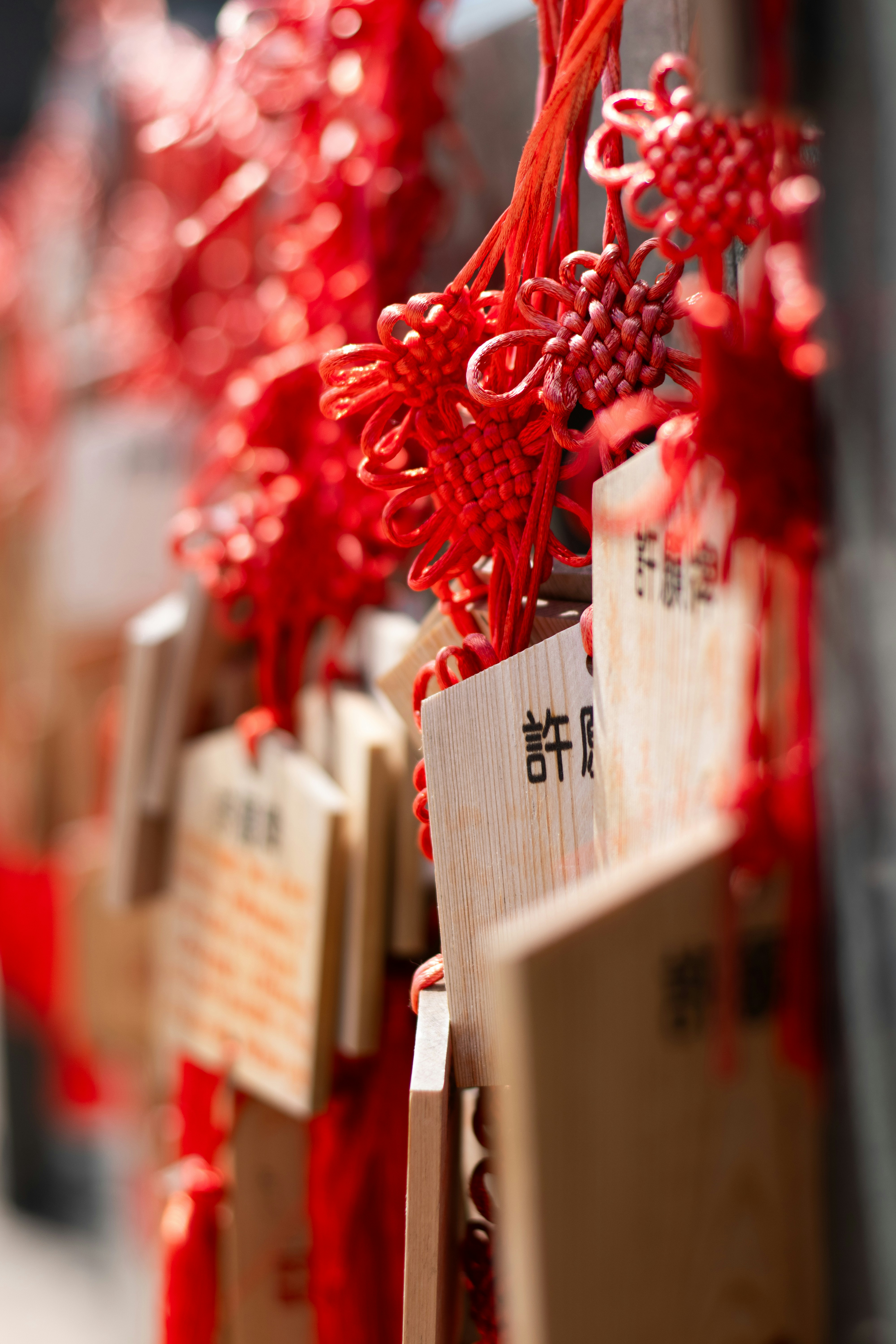 Red Knotwork: A Corridor of Wishes with Chinese Red Knots