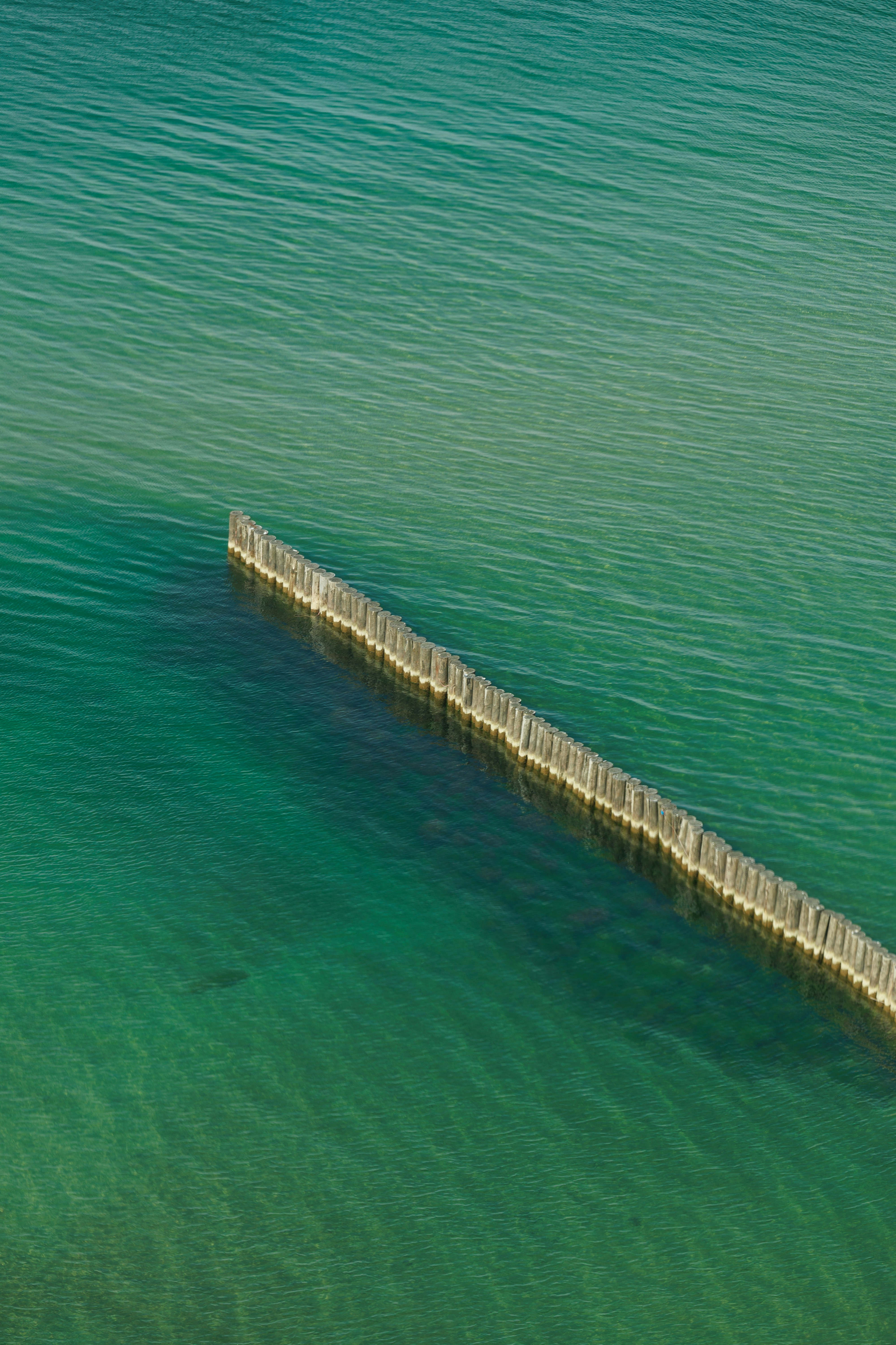 A Long Vein of Sea Green: Aerial Reed of the Breakwater