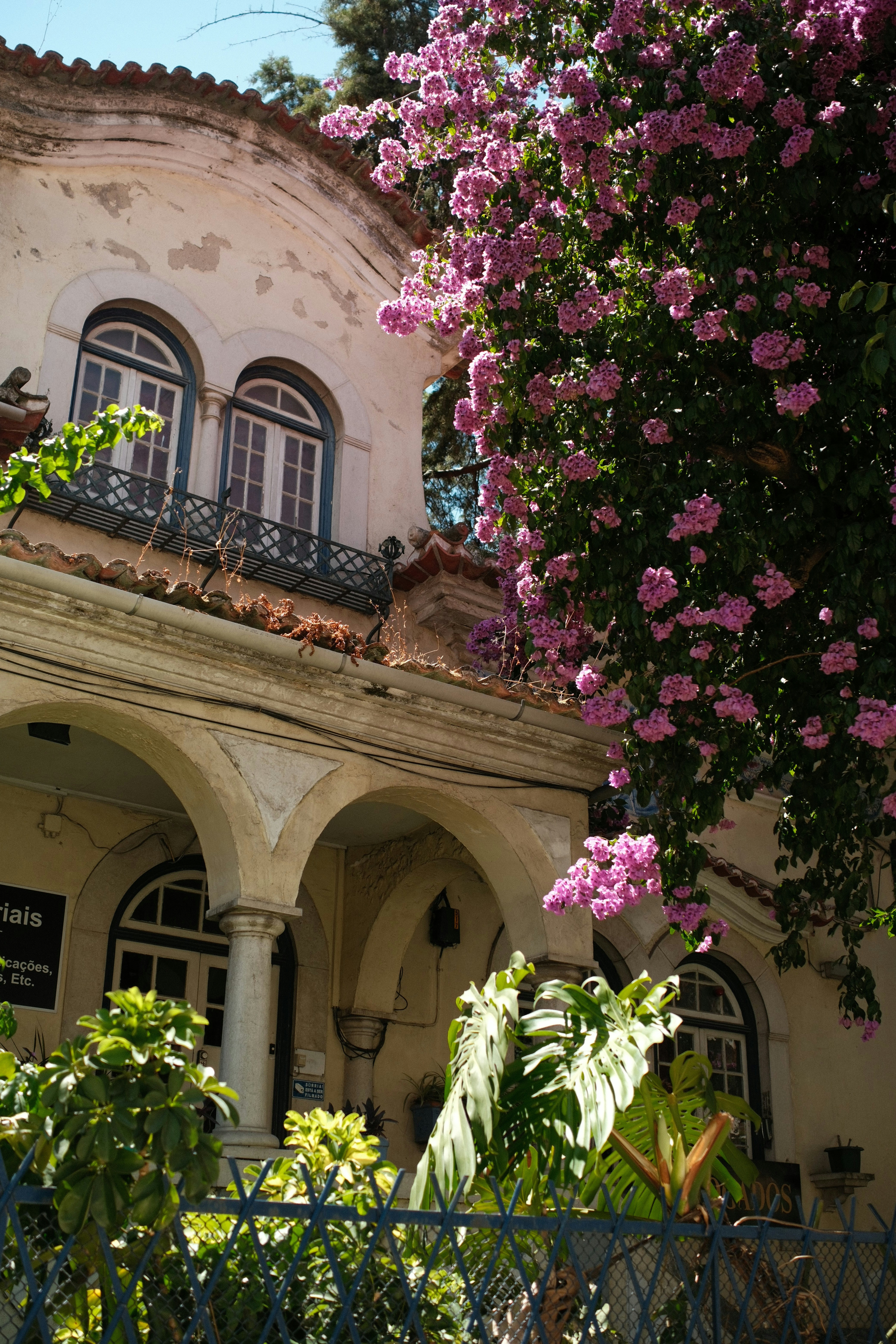 Sunlit Facade Framed by Bougainvillea: A Mediterranean Veranda