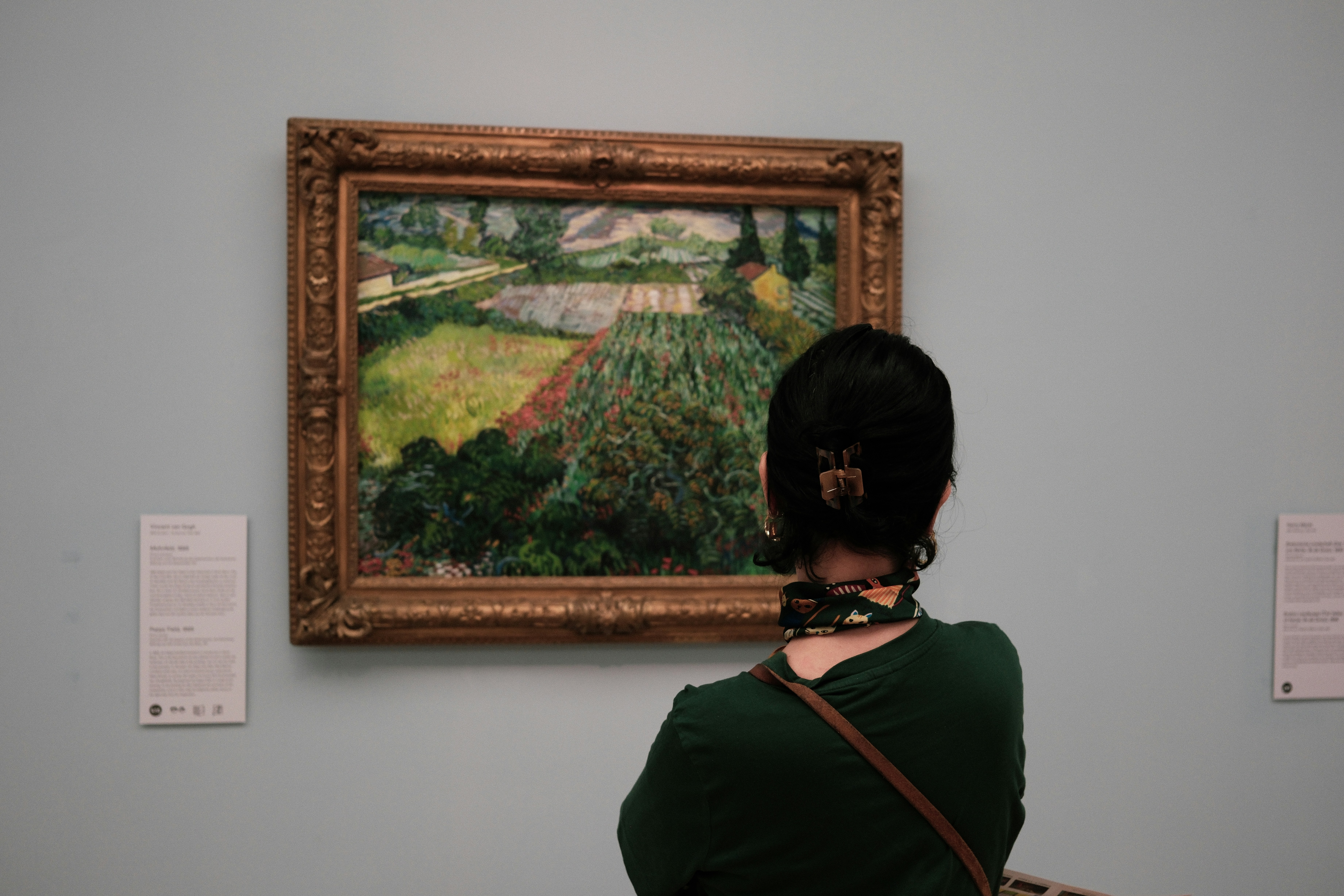 Viewer in Green, Facing Masterpiece: A Quiet Gallery Moment