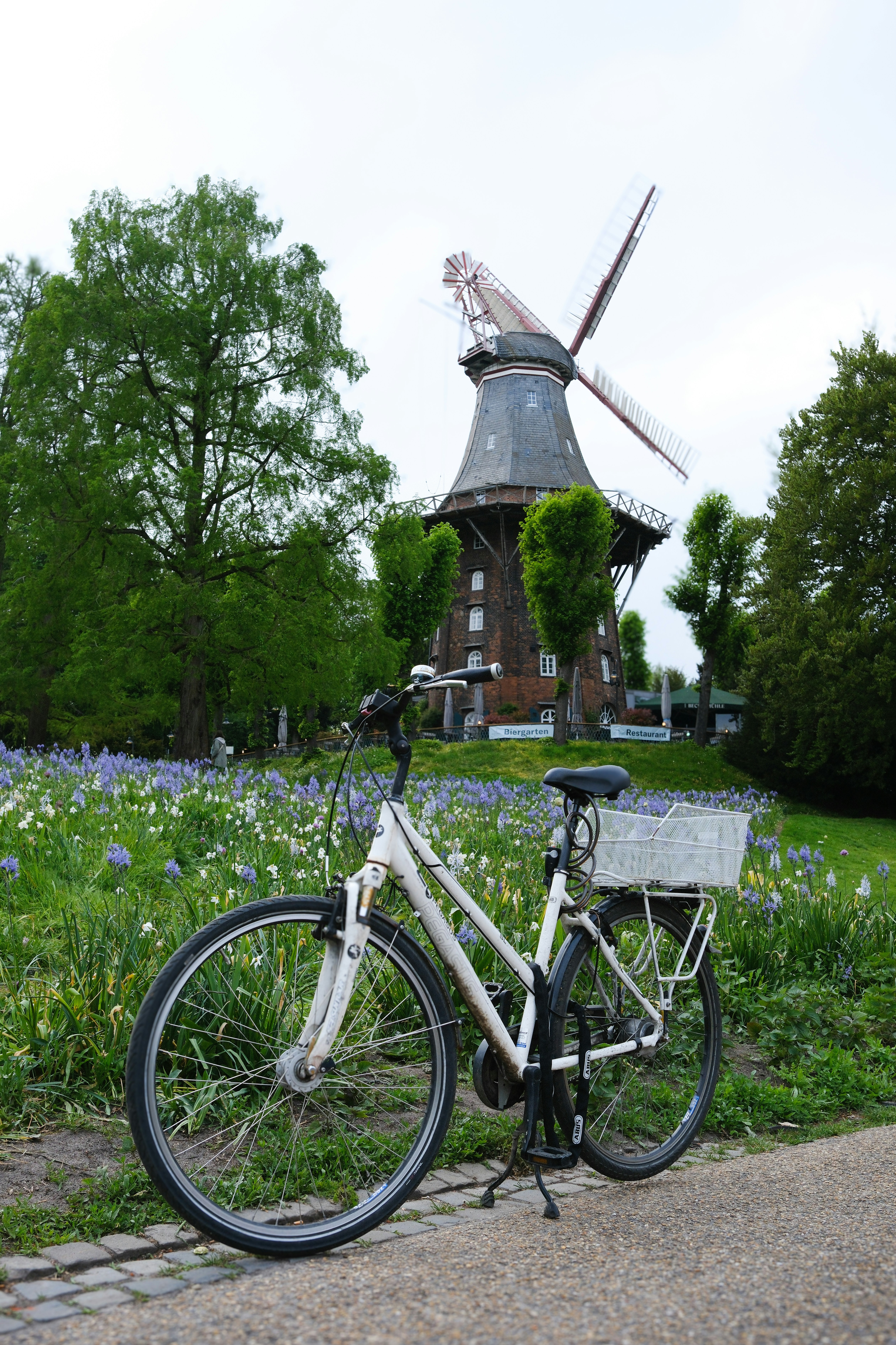 Bike by Blooming Field with a Windmill Quietly Overseeing