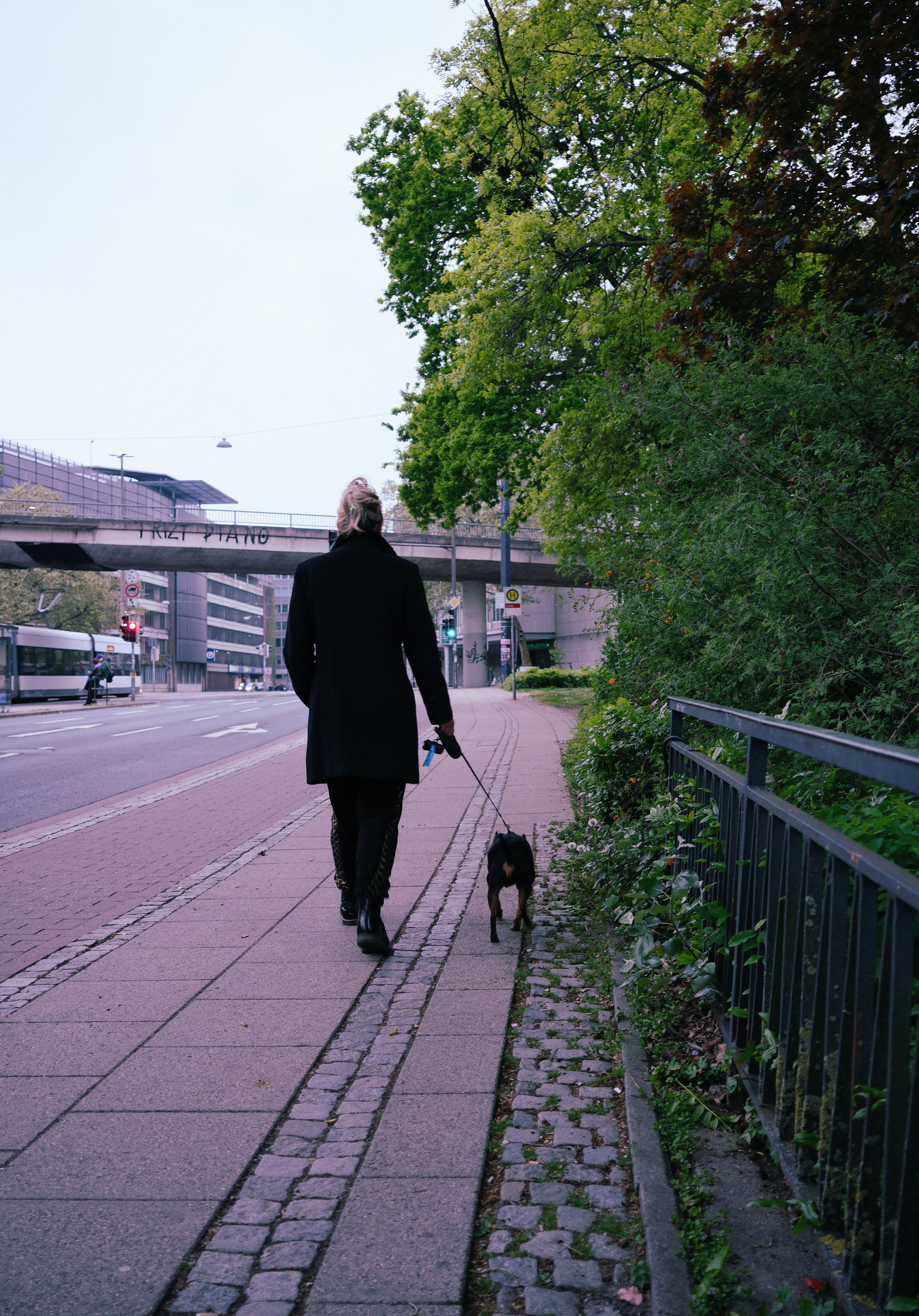 A Quiet Walk: A Woman in Black with a Dog on a City Path