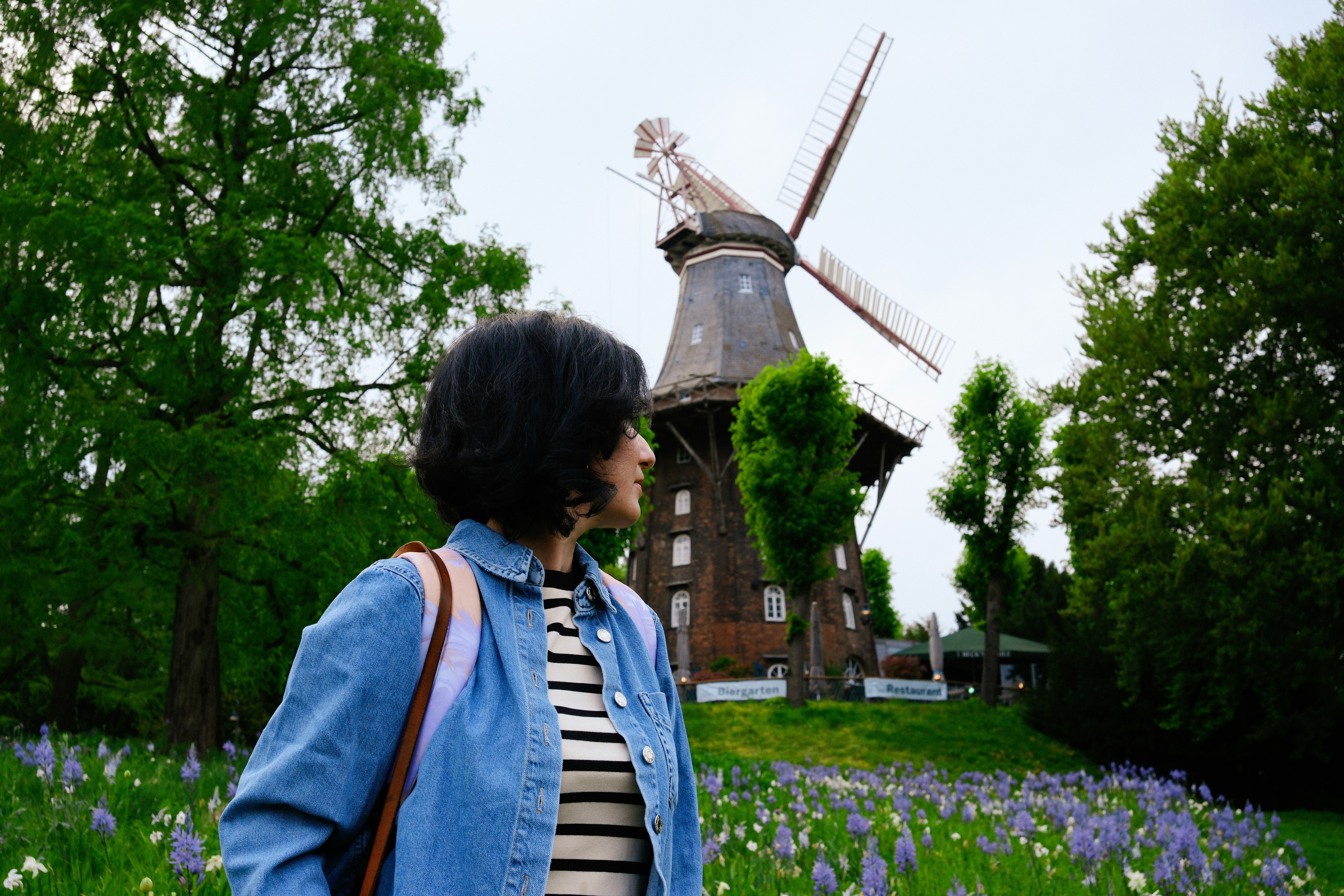 Woman in Denim Jacket Strolls Past a Windmill Bloomed with Purple Flowers