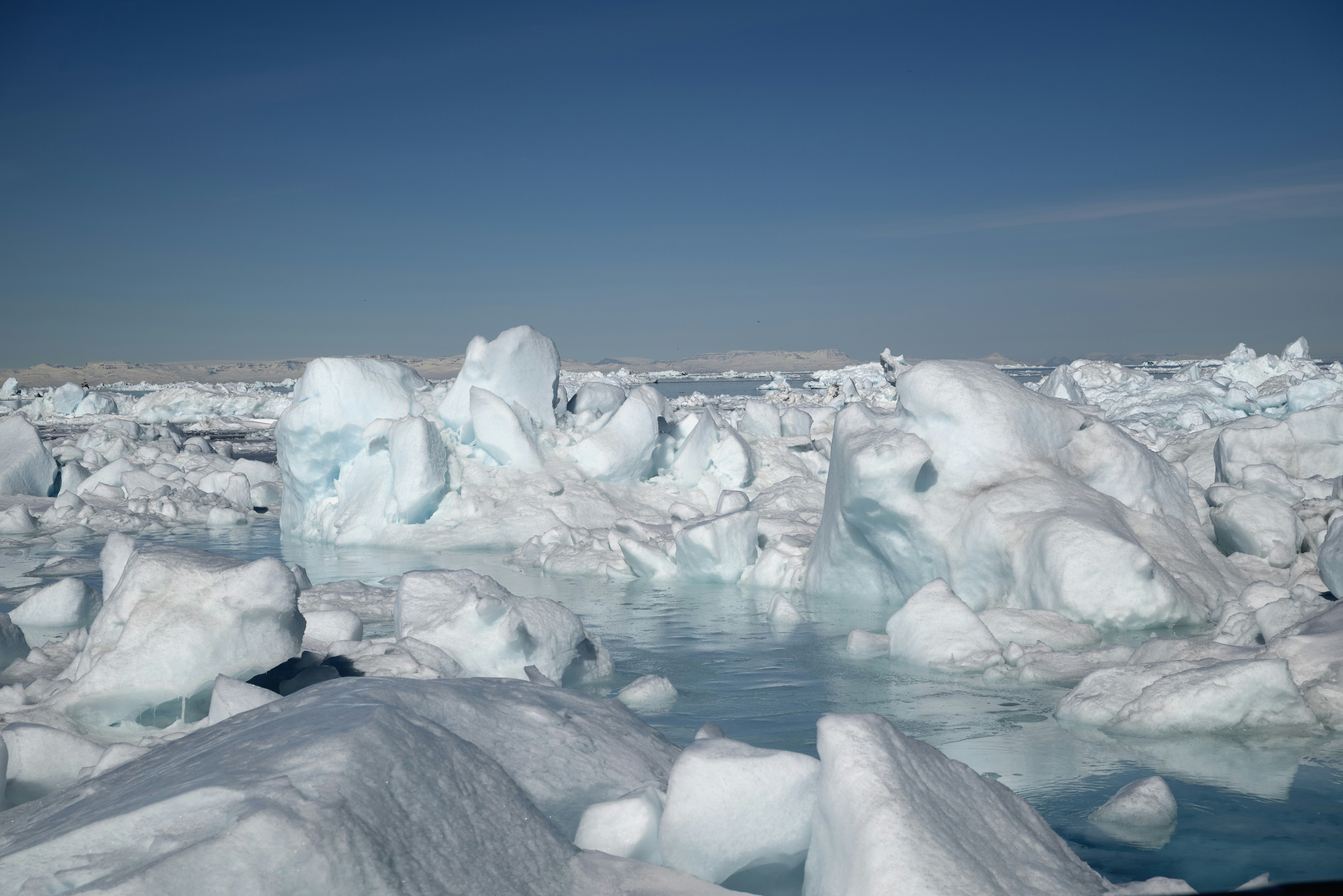 Icefield Convergence: A Sea of Calved Blues Under a Polar Sky