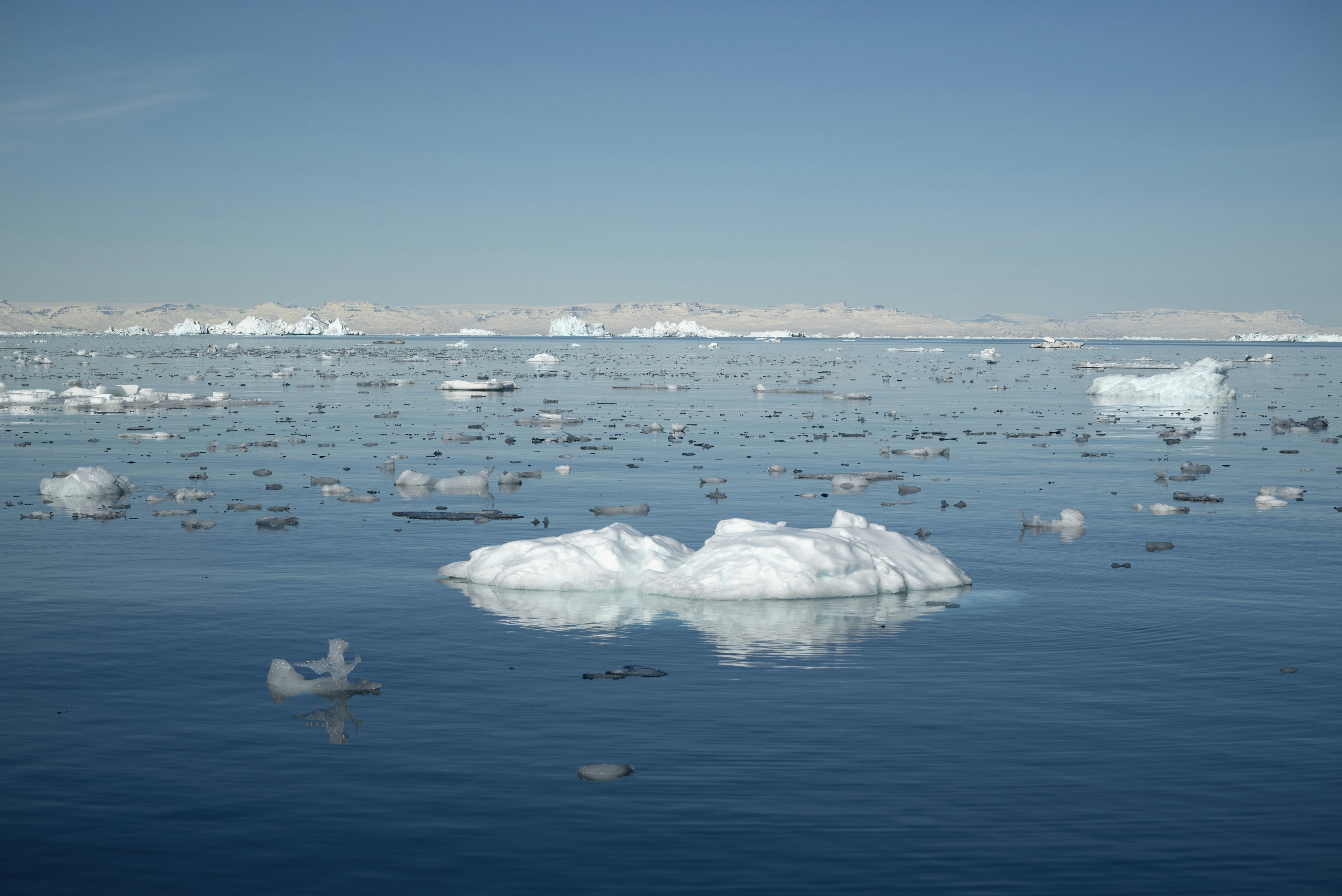Ice Islands: A Calm Ocean in a Field of Icebergs