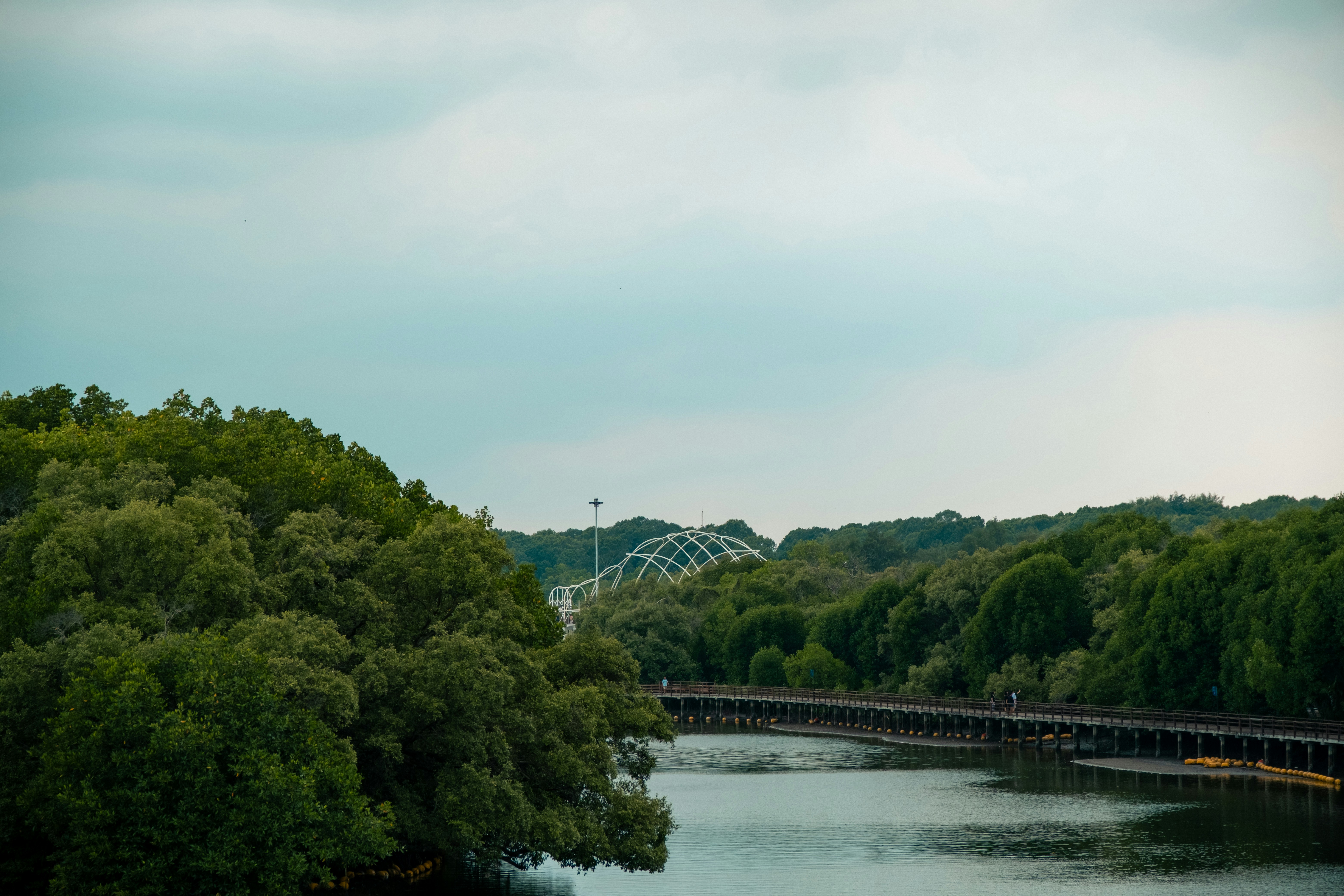 Bridge over the Green Corridor