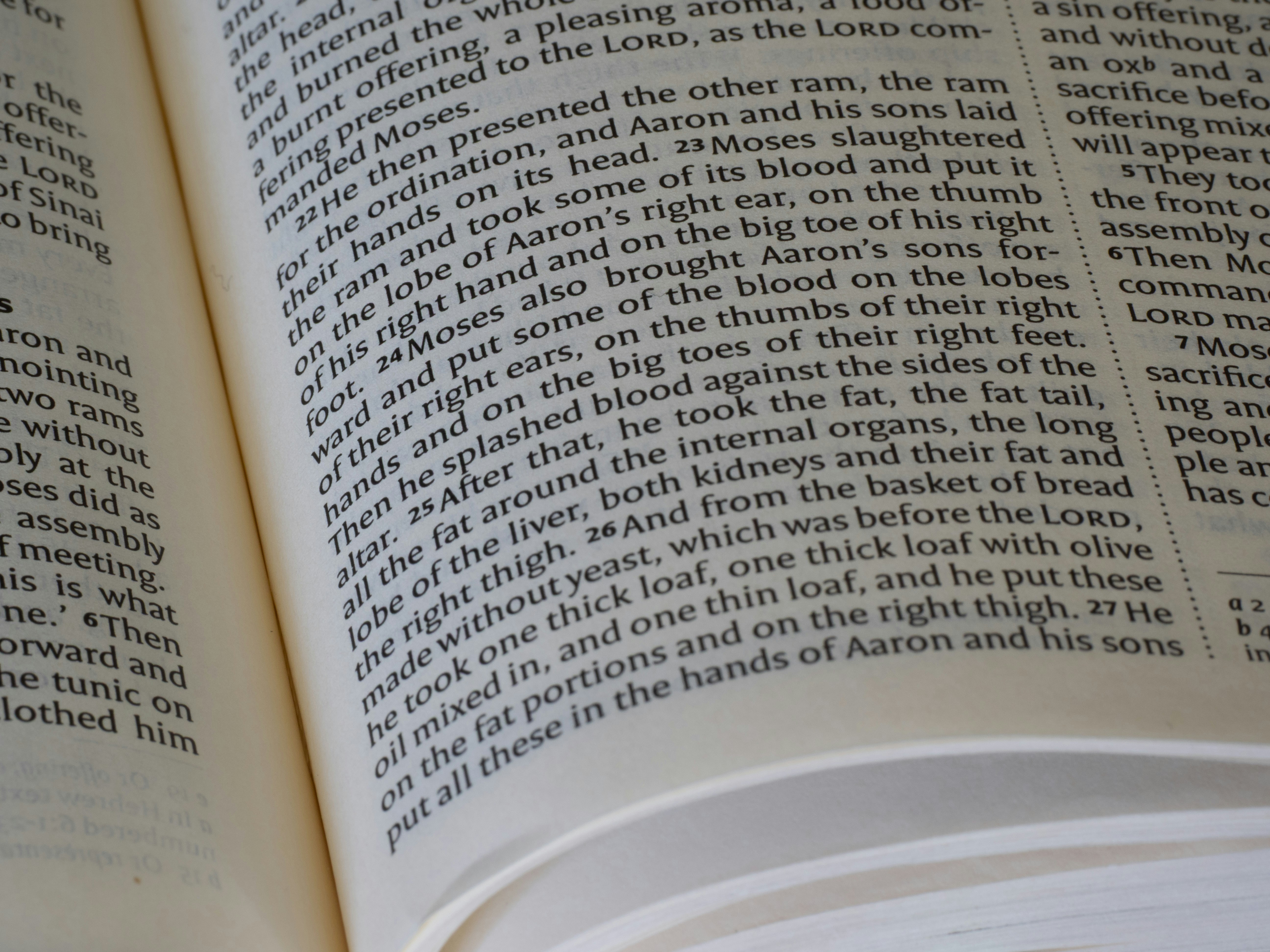 Curled Pages Whisper the Verse of a Book