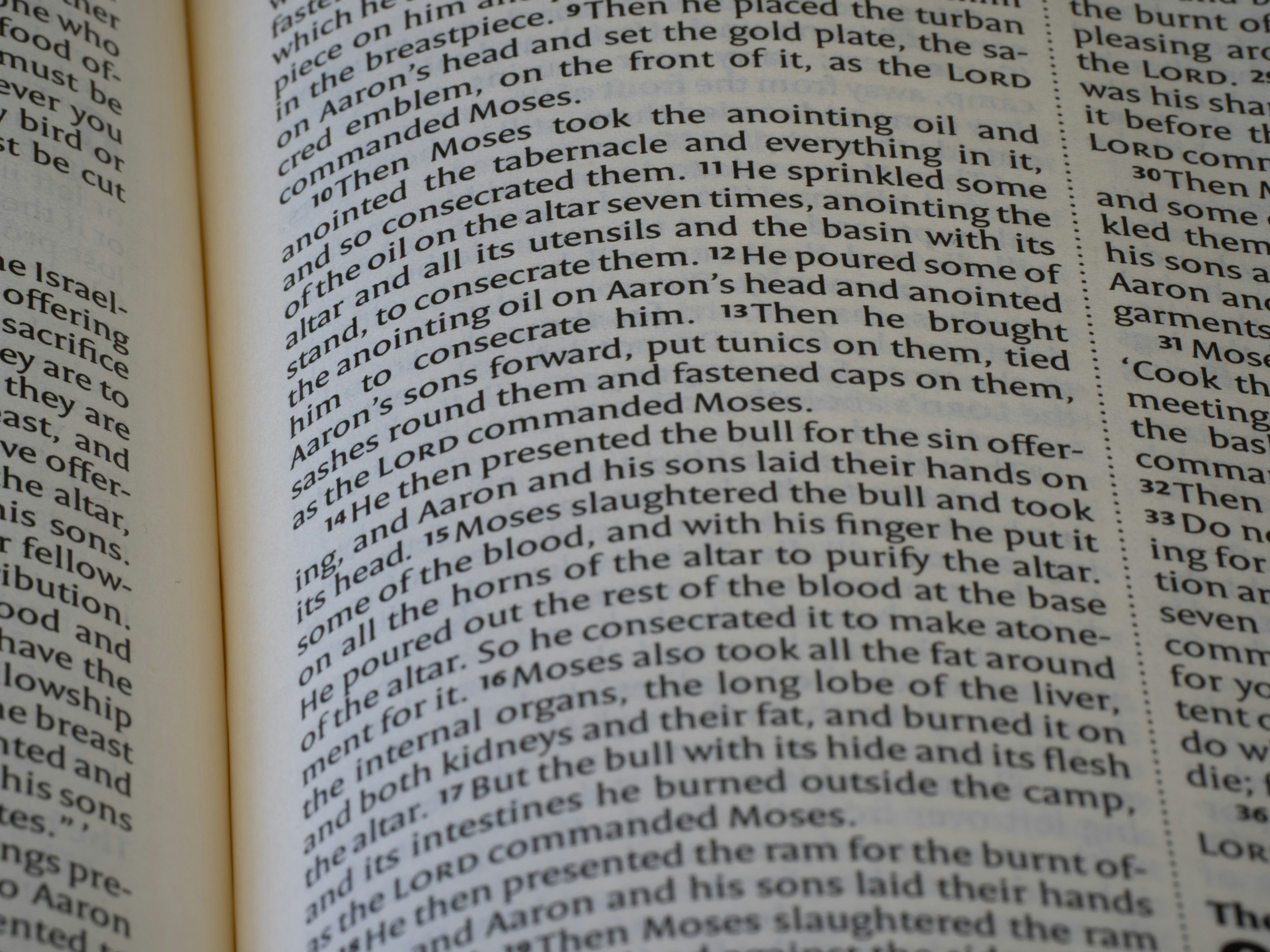 Close-Quarters Text: A Book's Inked Geometry
