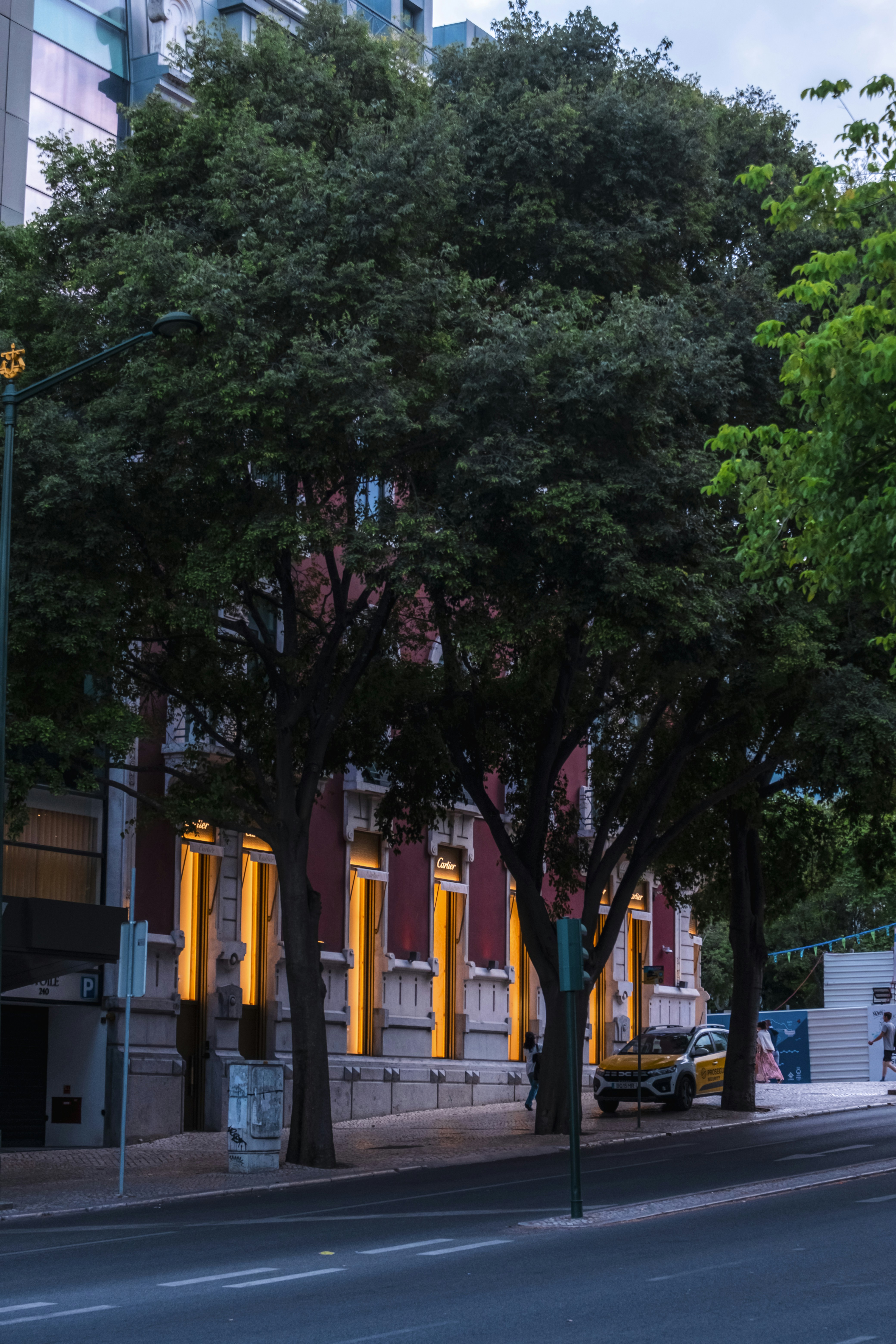 Evening Street Symphony Under Canopy