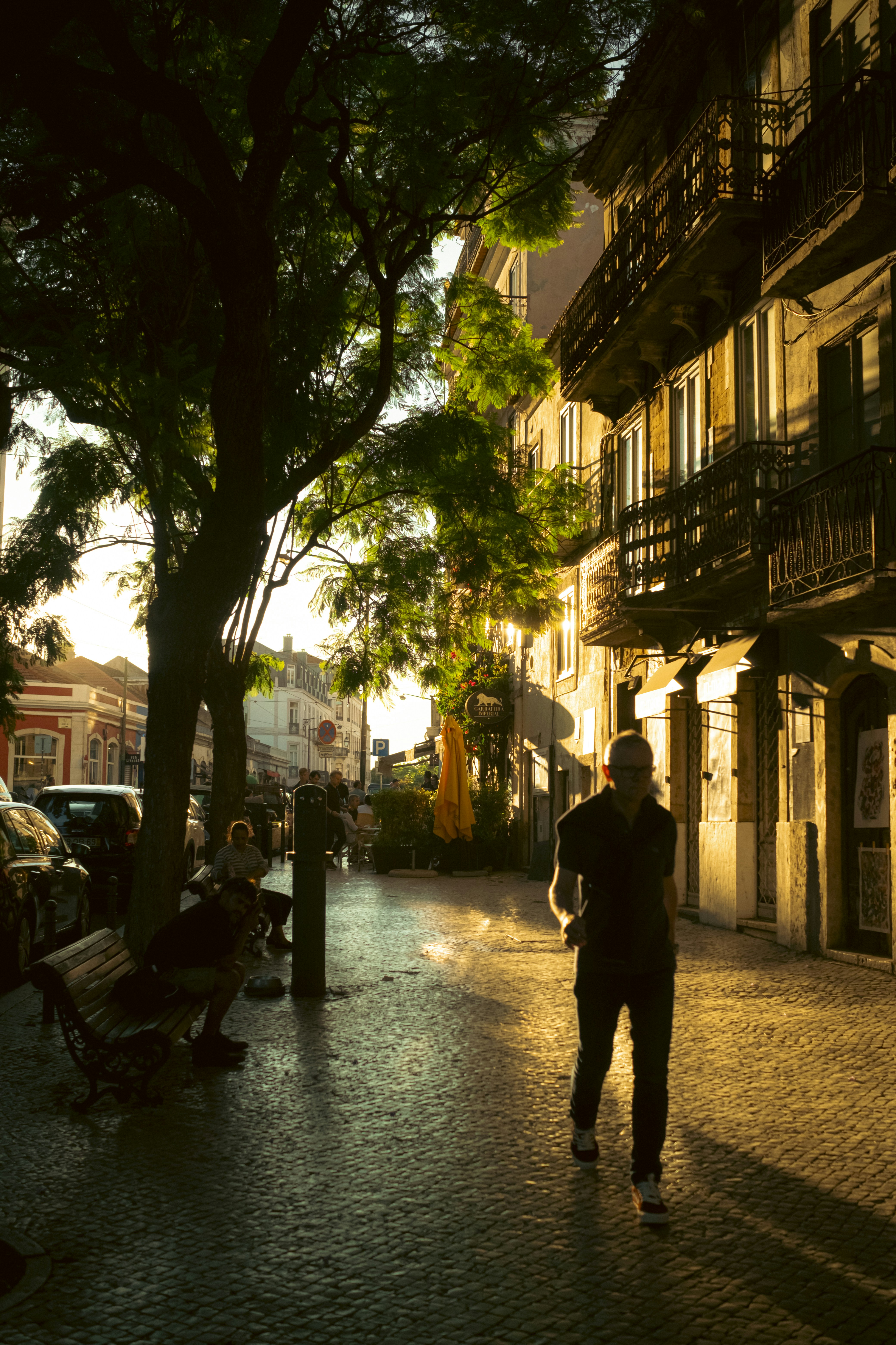 Sunlit Street Portrait: A Quiet Moment Beneath Rolling Shadows