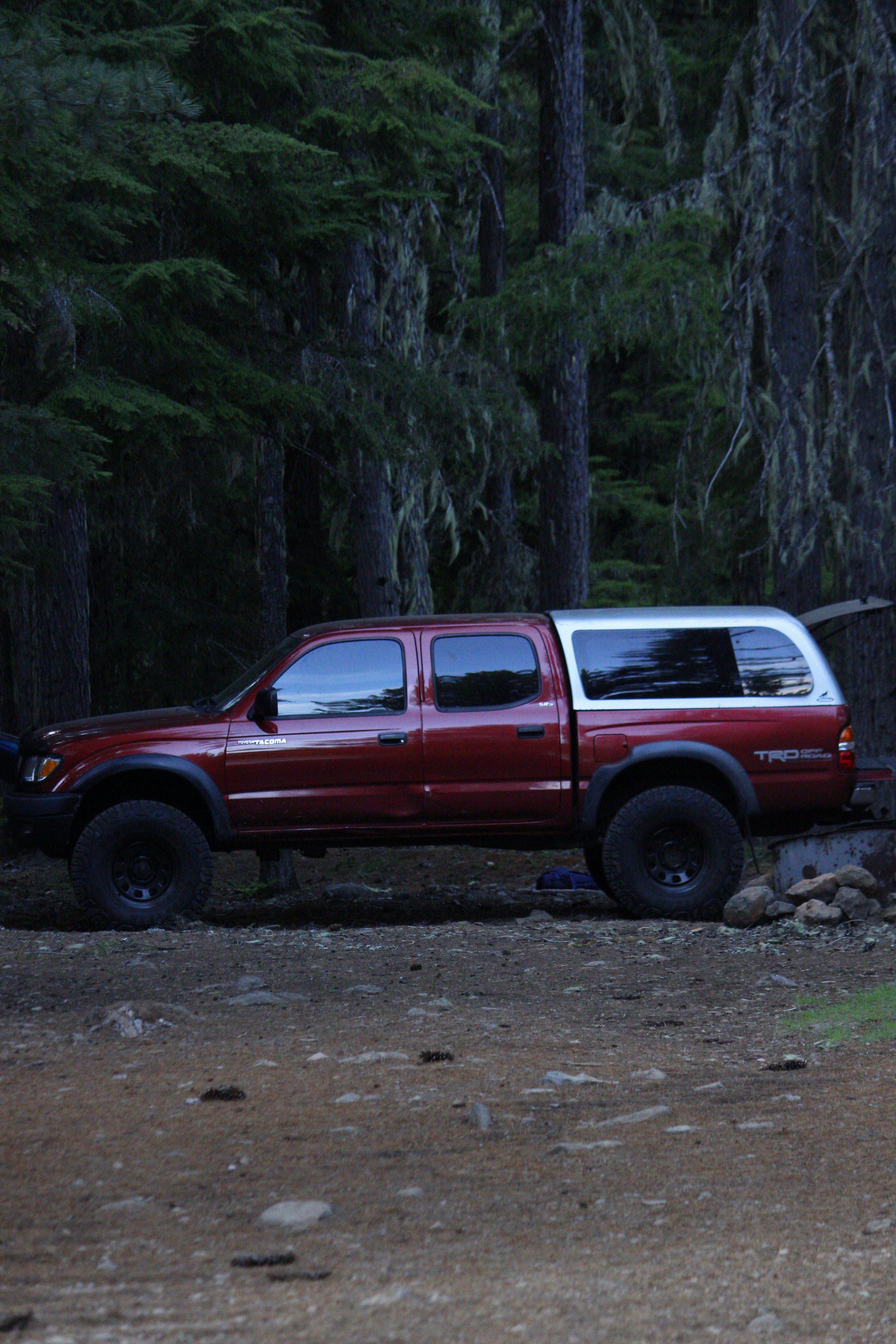 Red Pickup Reigns the Forest Edge