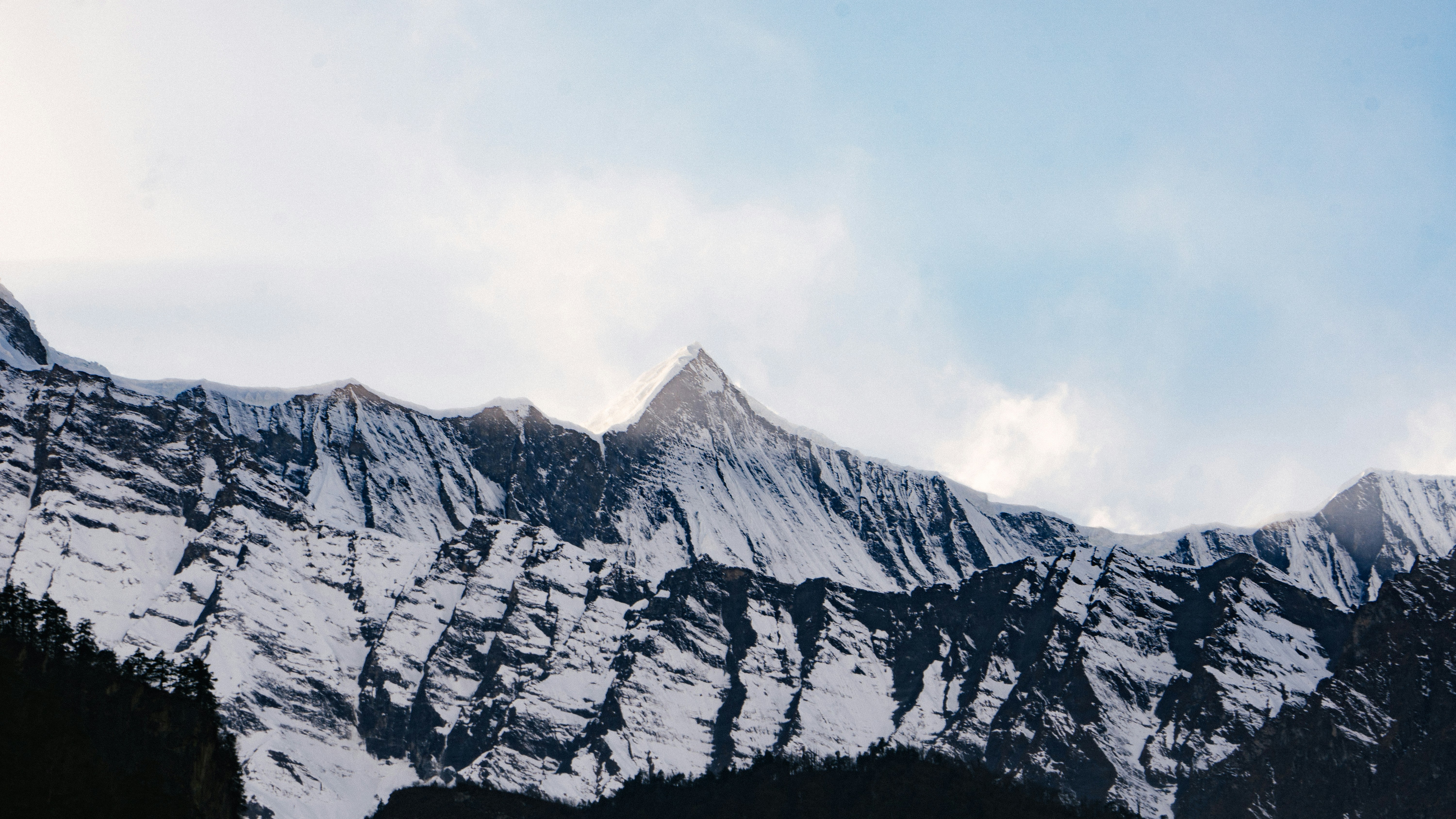 Crest of Snow: A Quiet Edge Above the Ridge