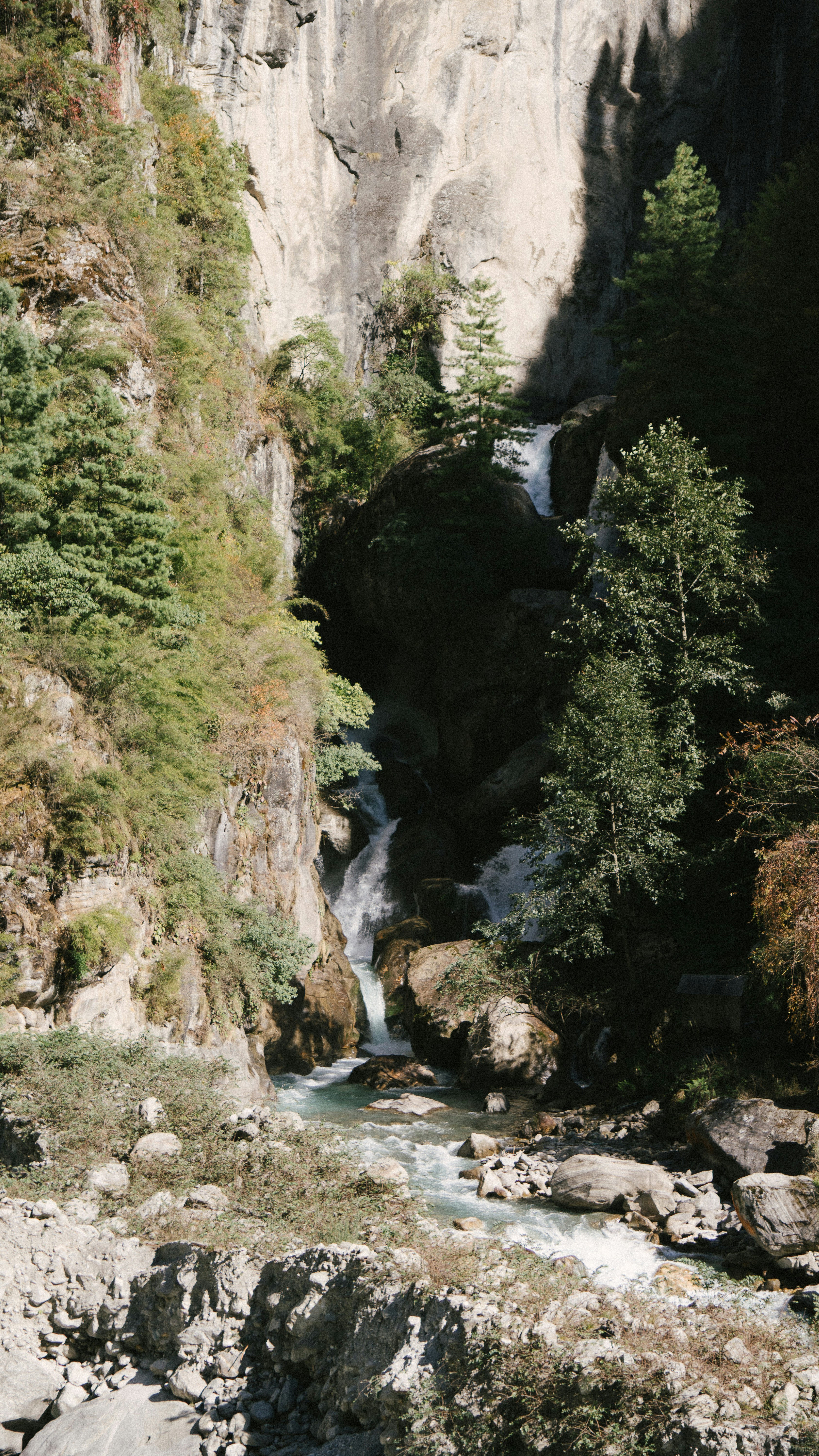 Cascade Through Stone: A Forested Gorge With Icy Turbulence