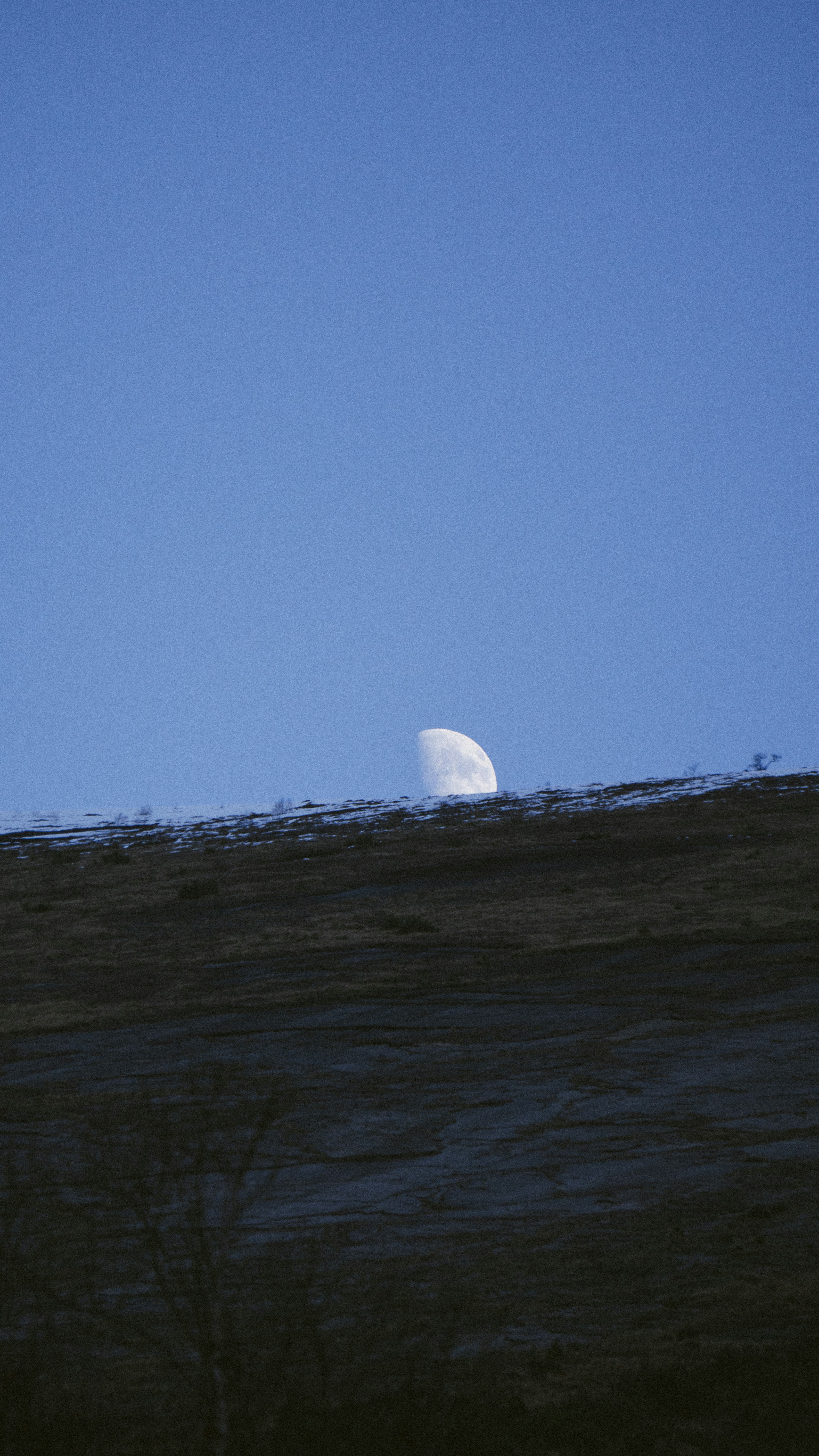 Moon Over the Horizon: A Dusk-Lit Slope