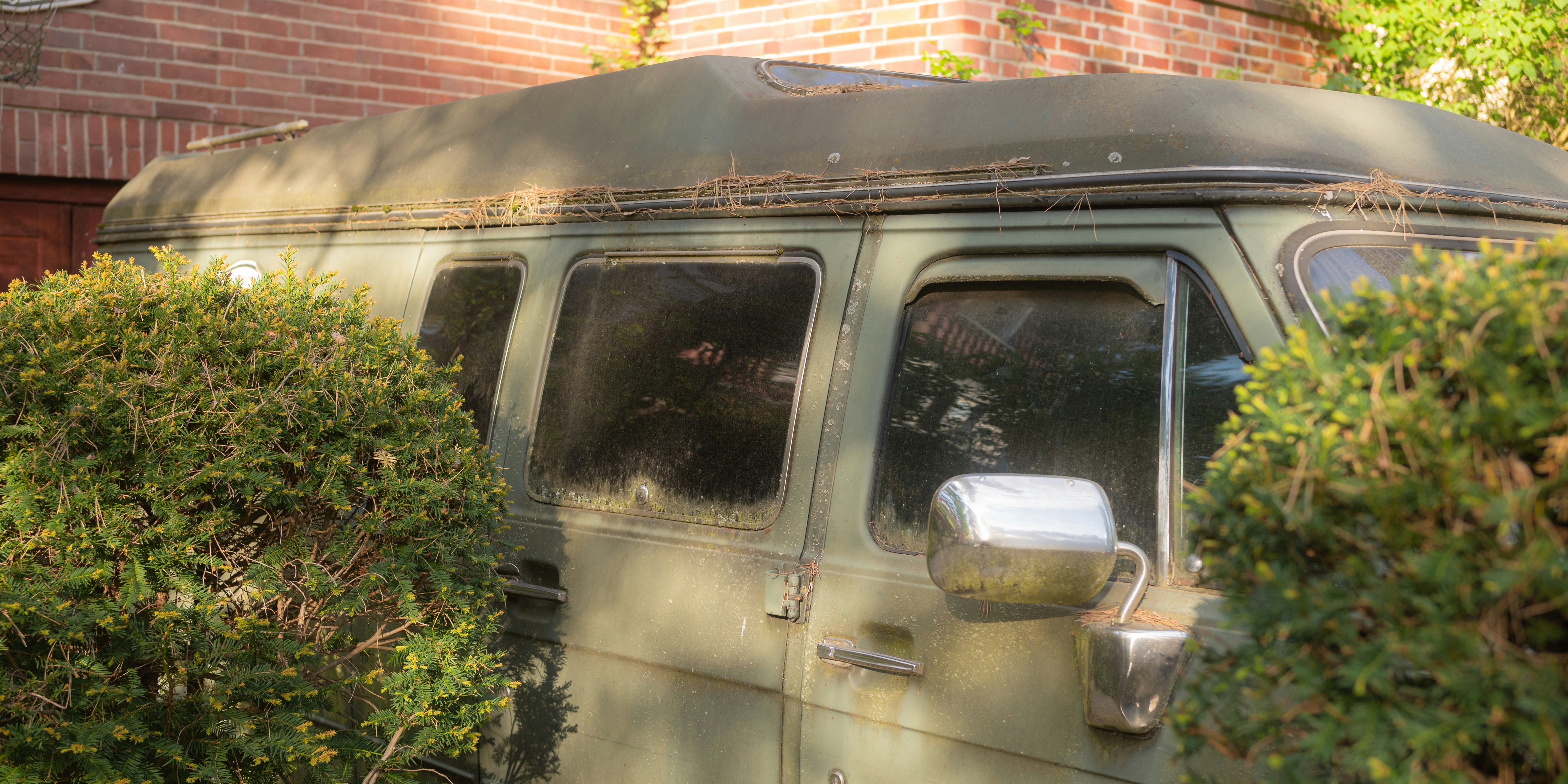 Overgrown Camper: A Weathered Van Resting Behind Greenery