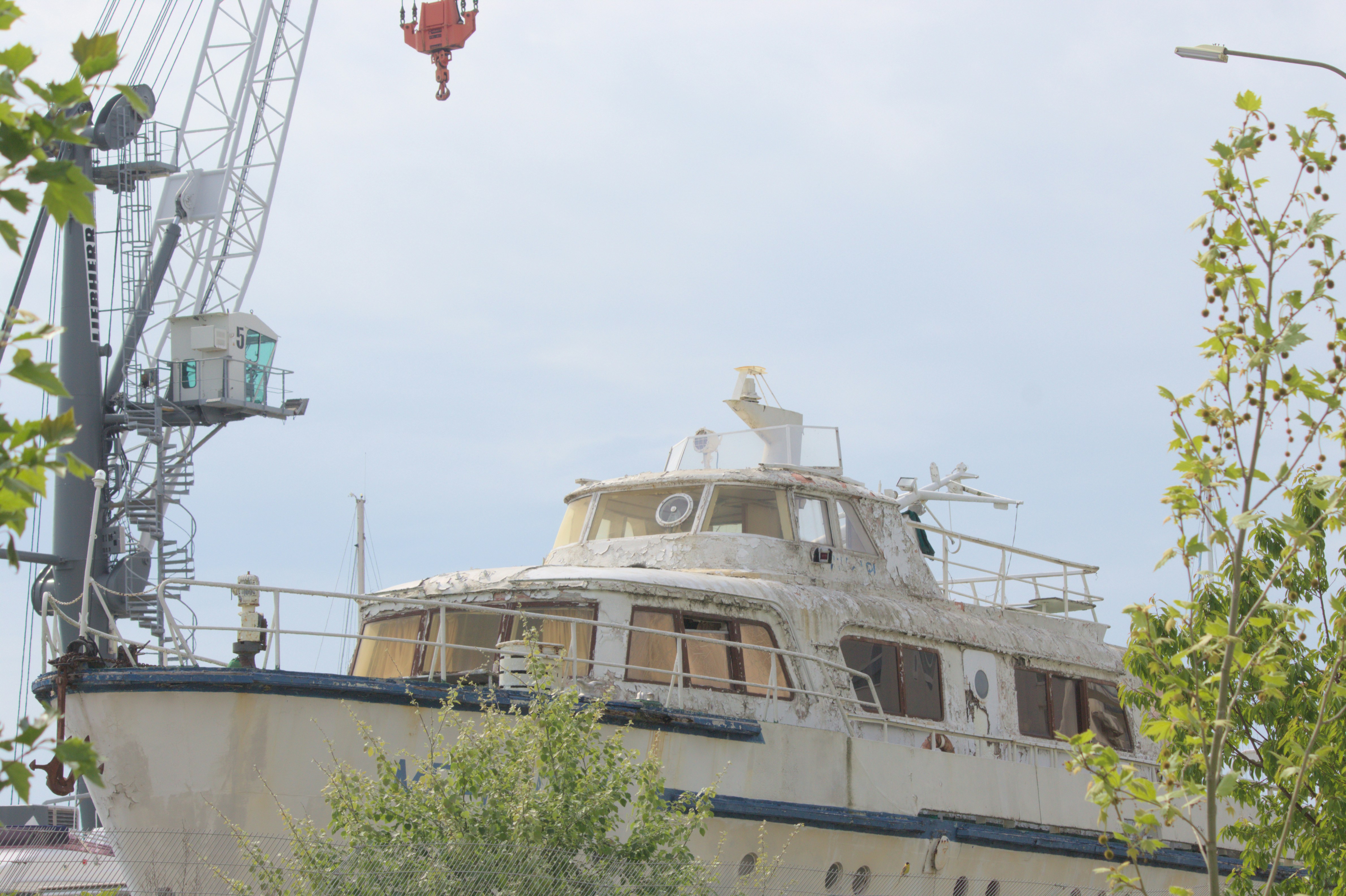 Maritime Relic Emerges from Vegetation at a Shipyard Edge