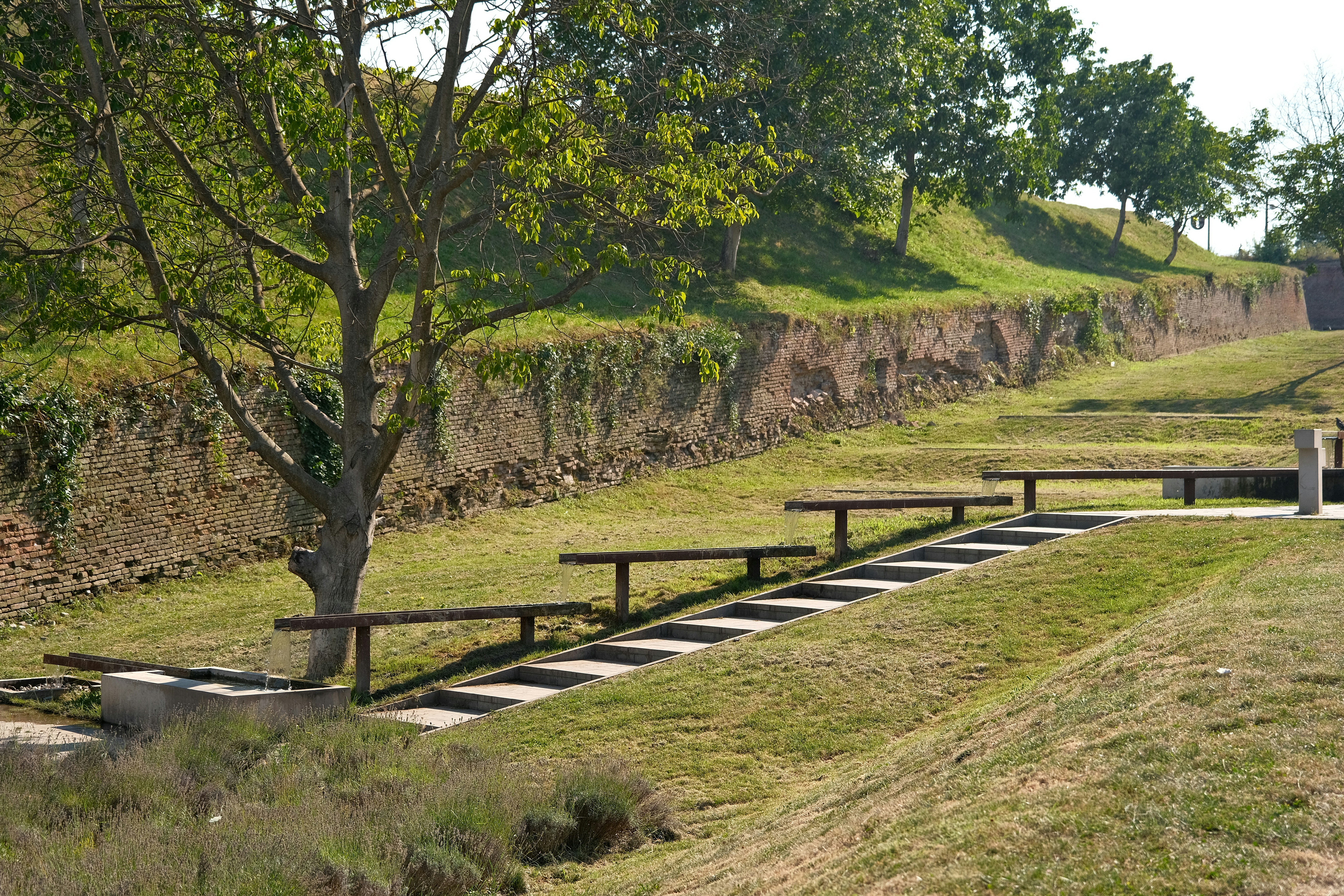 Stone Steps and Linden Shade: A Quiet Riverside Walkway