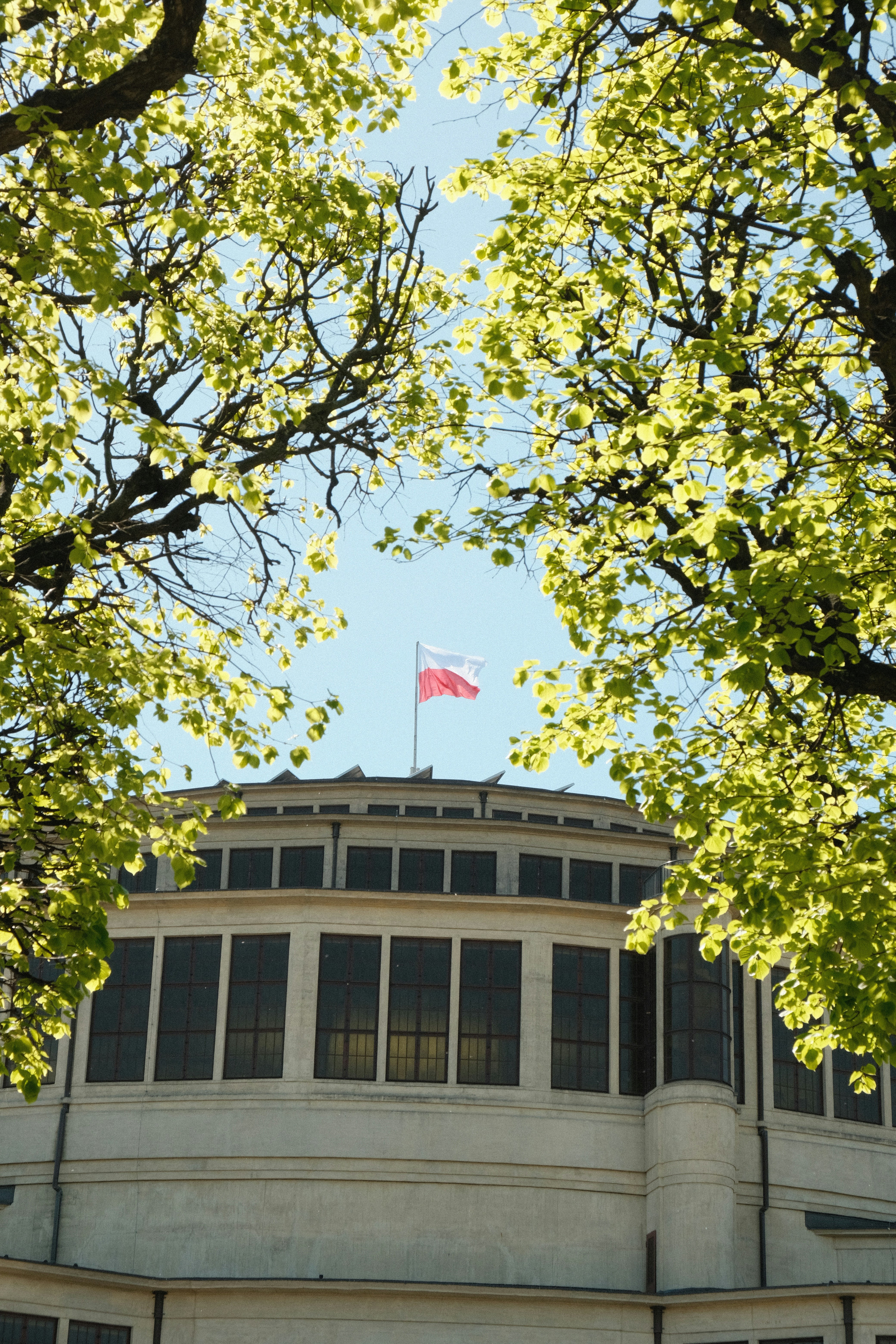 Flag over neoclassical façade framed by spring canopy