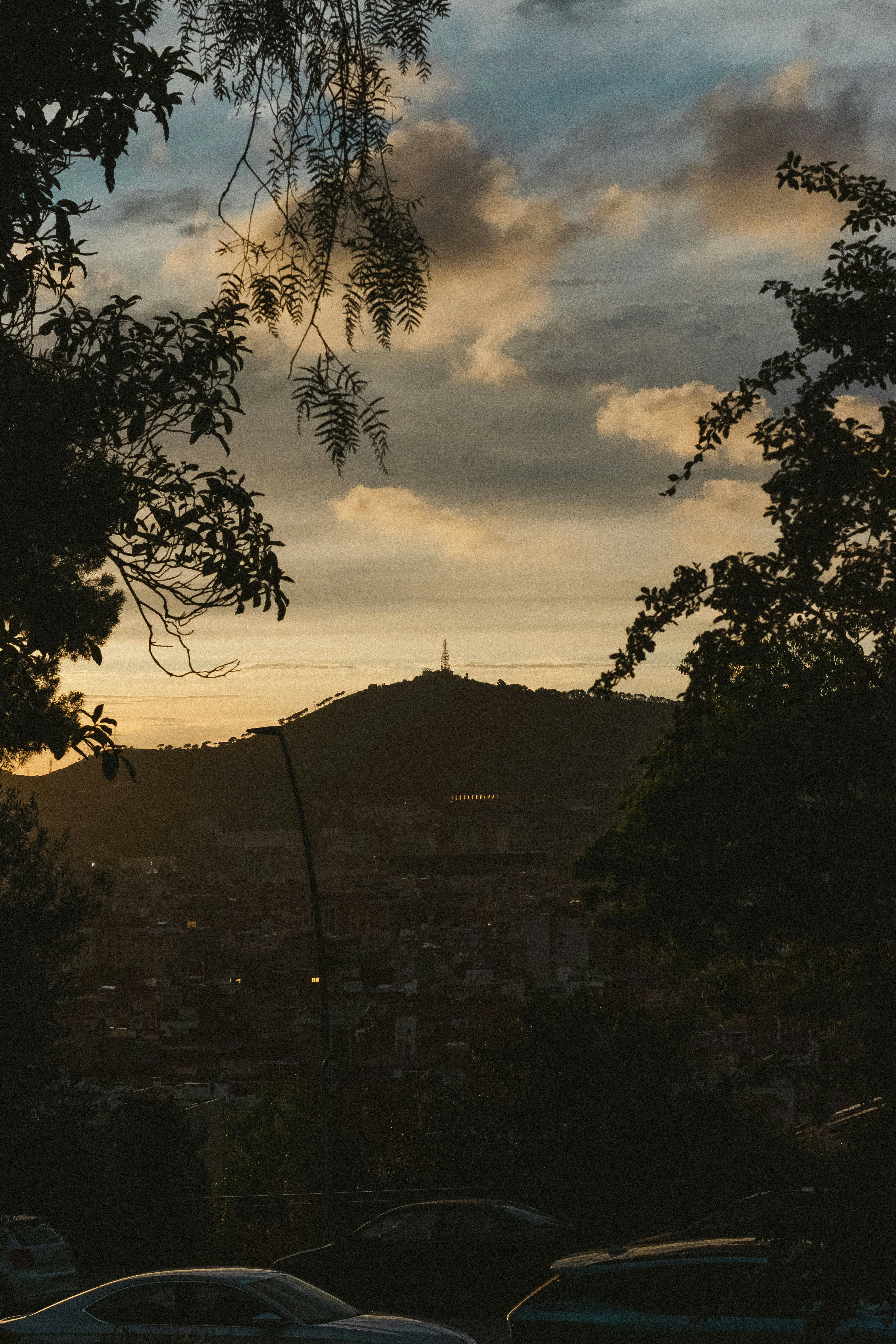 Dusk Over the Valley: Silhouette of Trees Framing a Quiet City Below