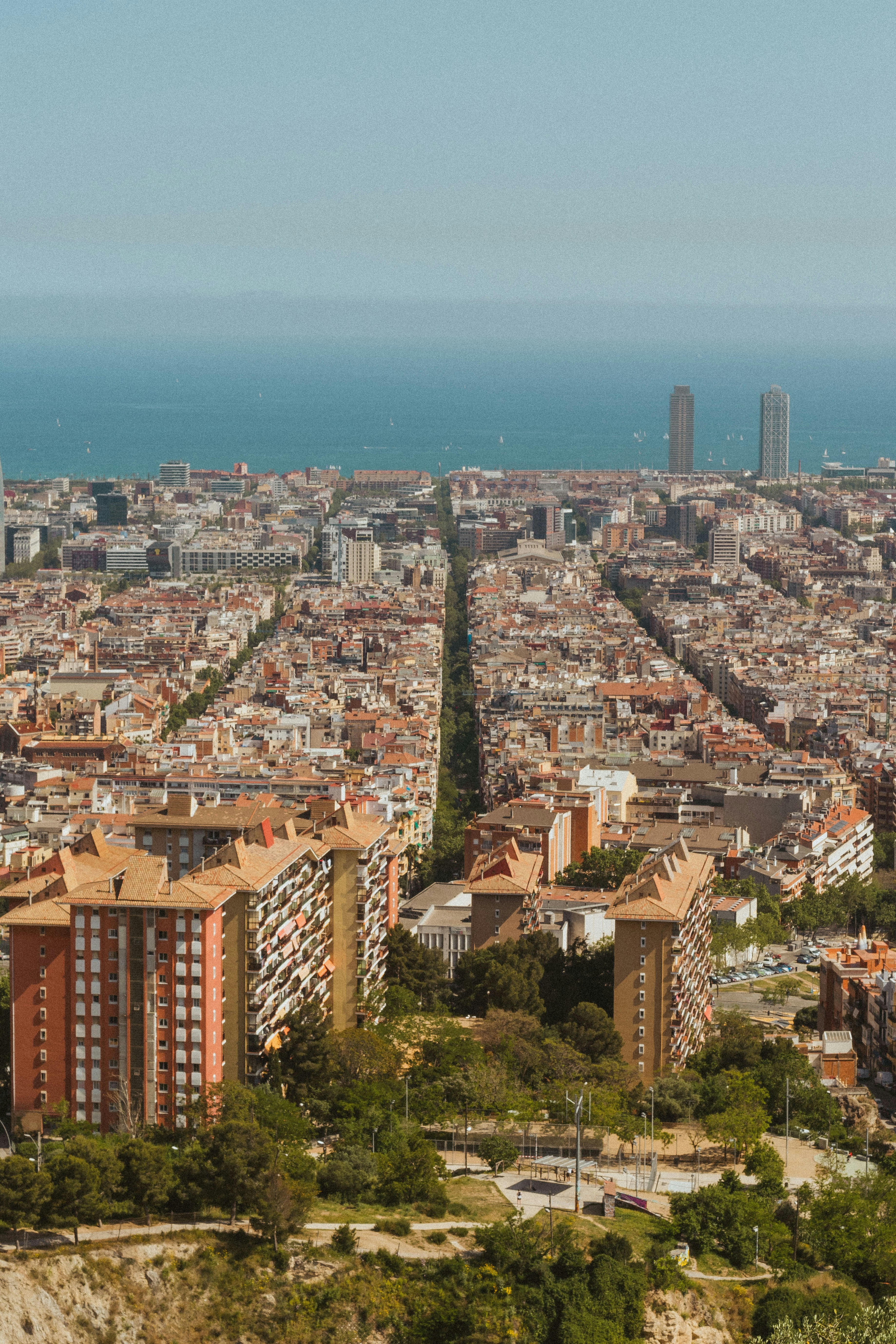 Urban Spine: Aerial View Down the Tree-Lined Boulevard Toward the Sea