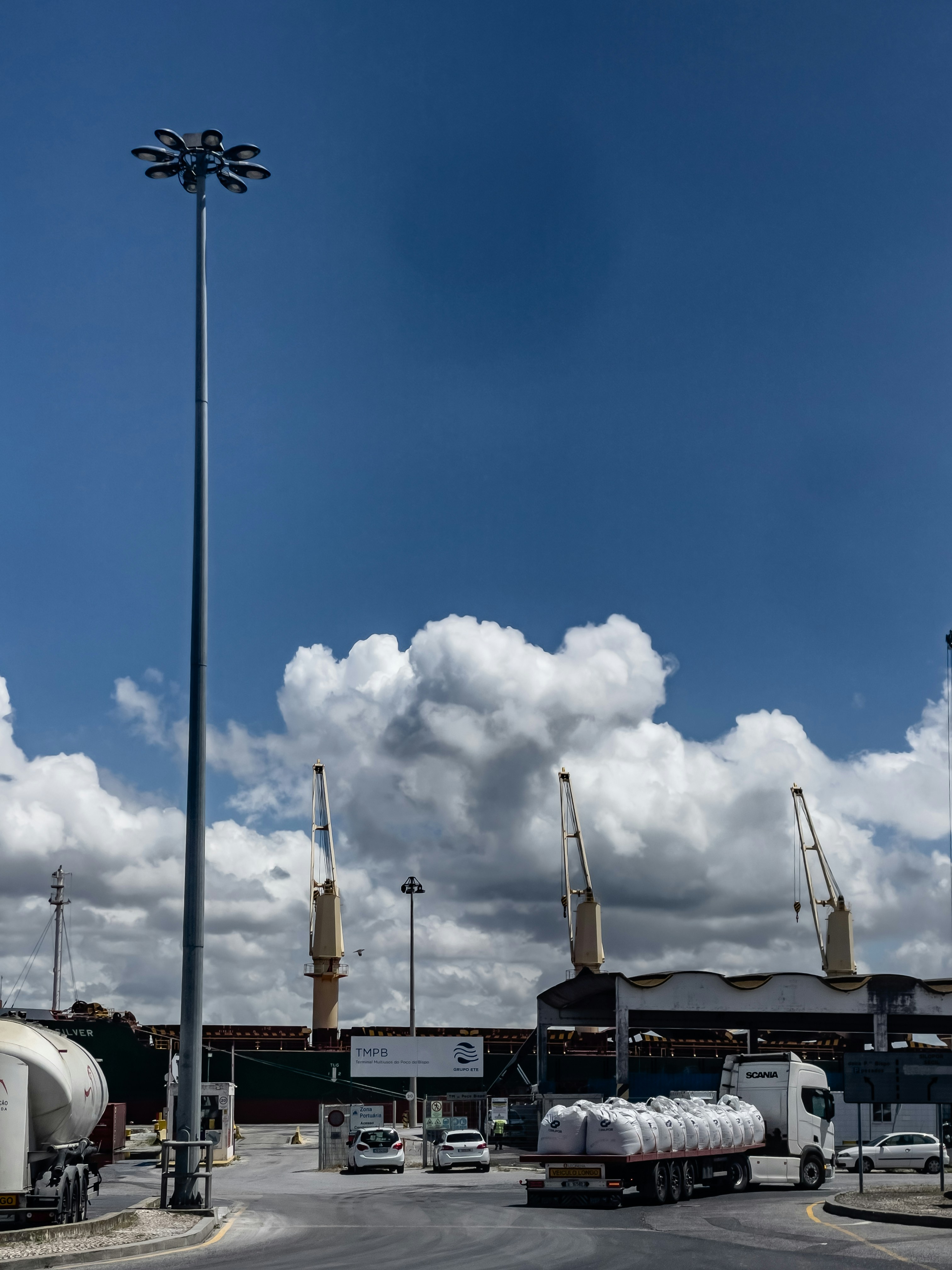 Crane Horizon Under a Lush Blue Sky