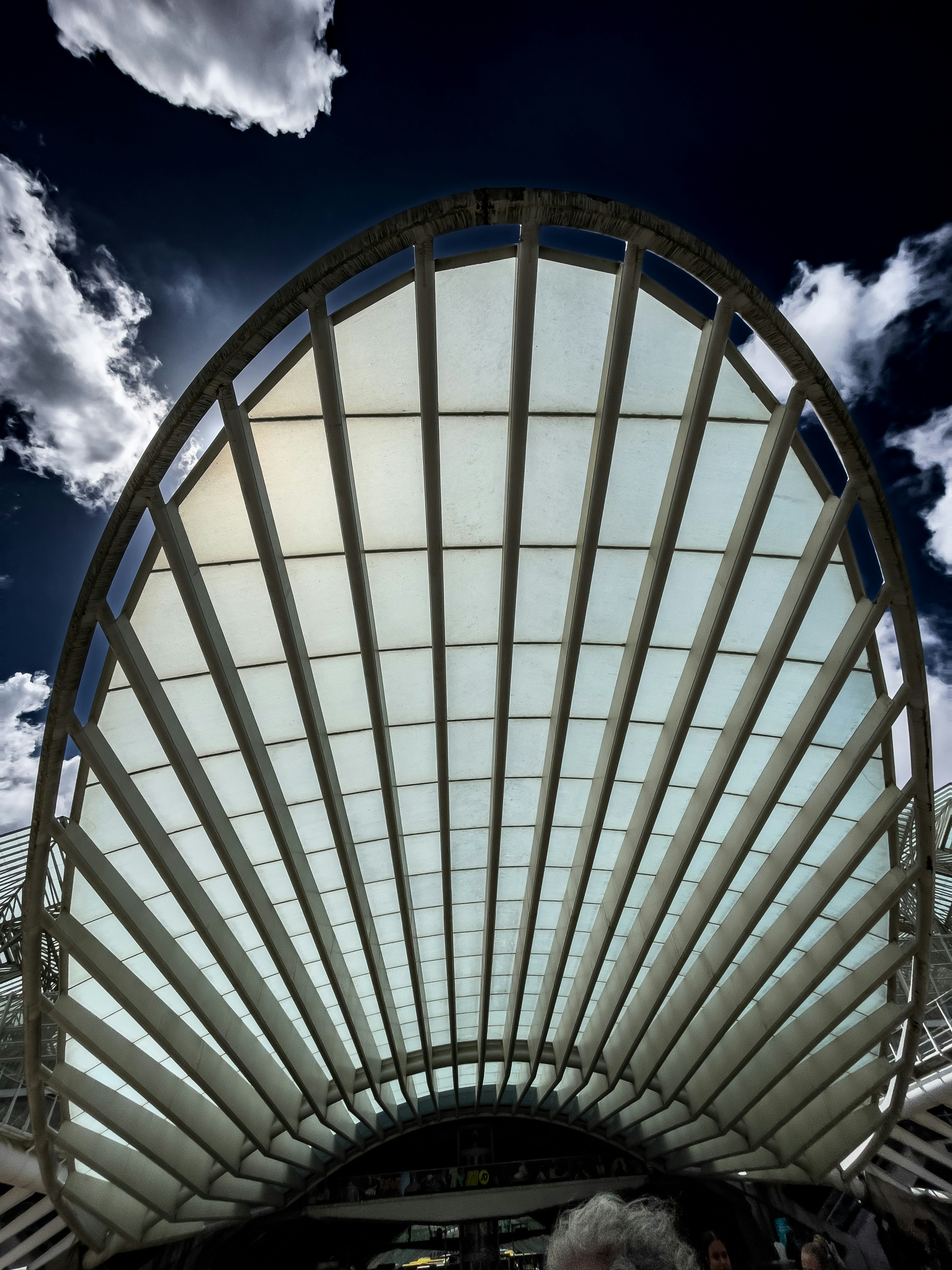 Architectural Radiance: The Sky-arched Canopy of the Station