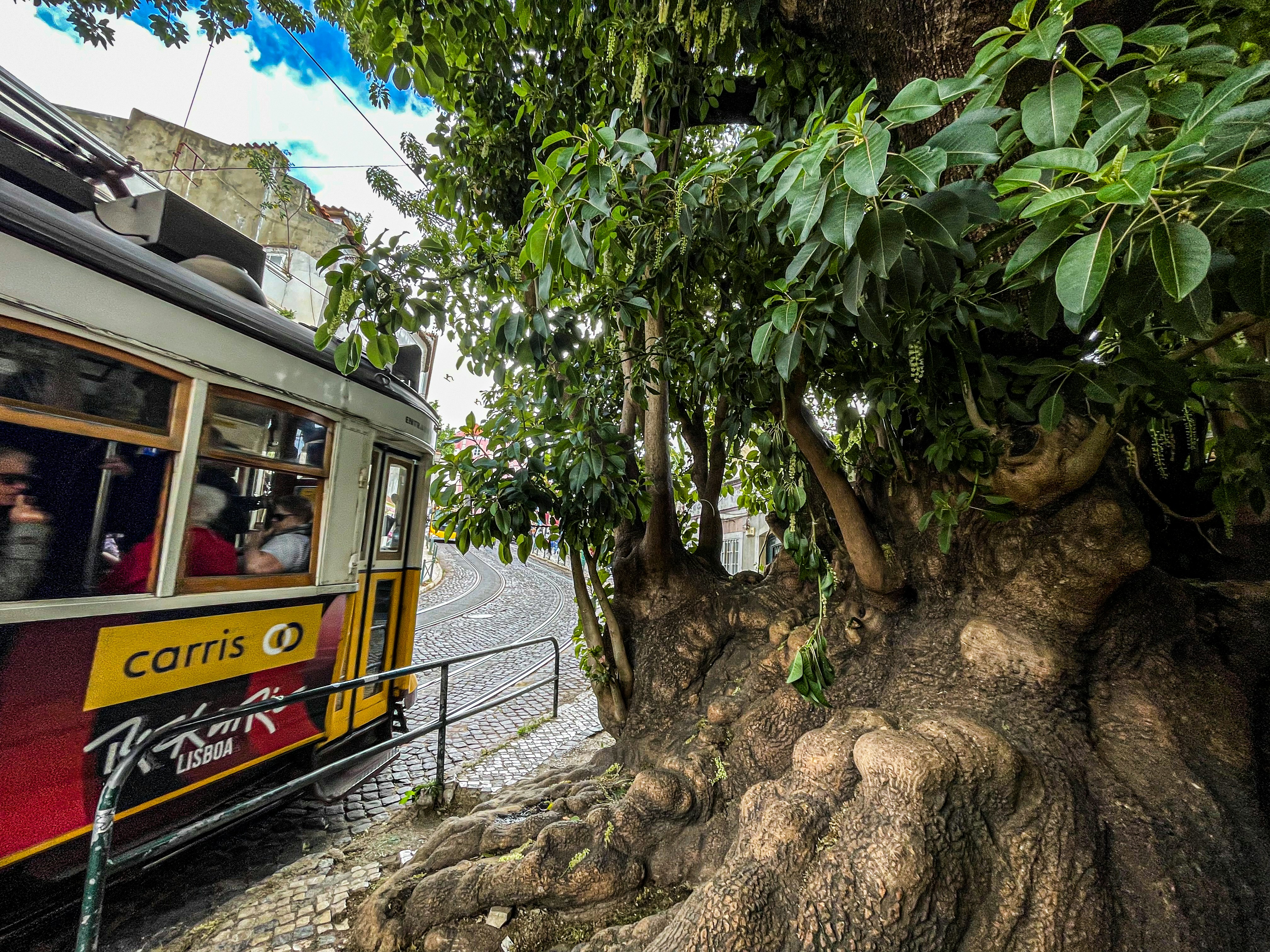 Cable Car in a Quirky Urban Garden