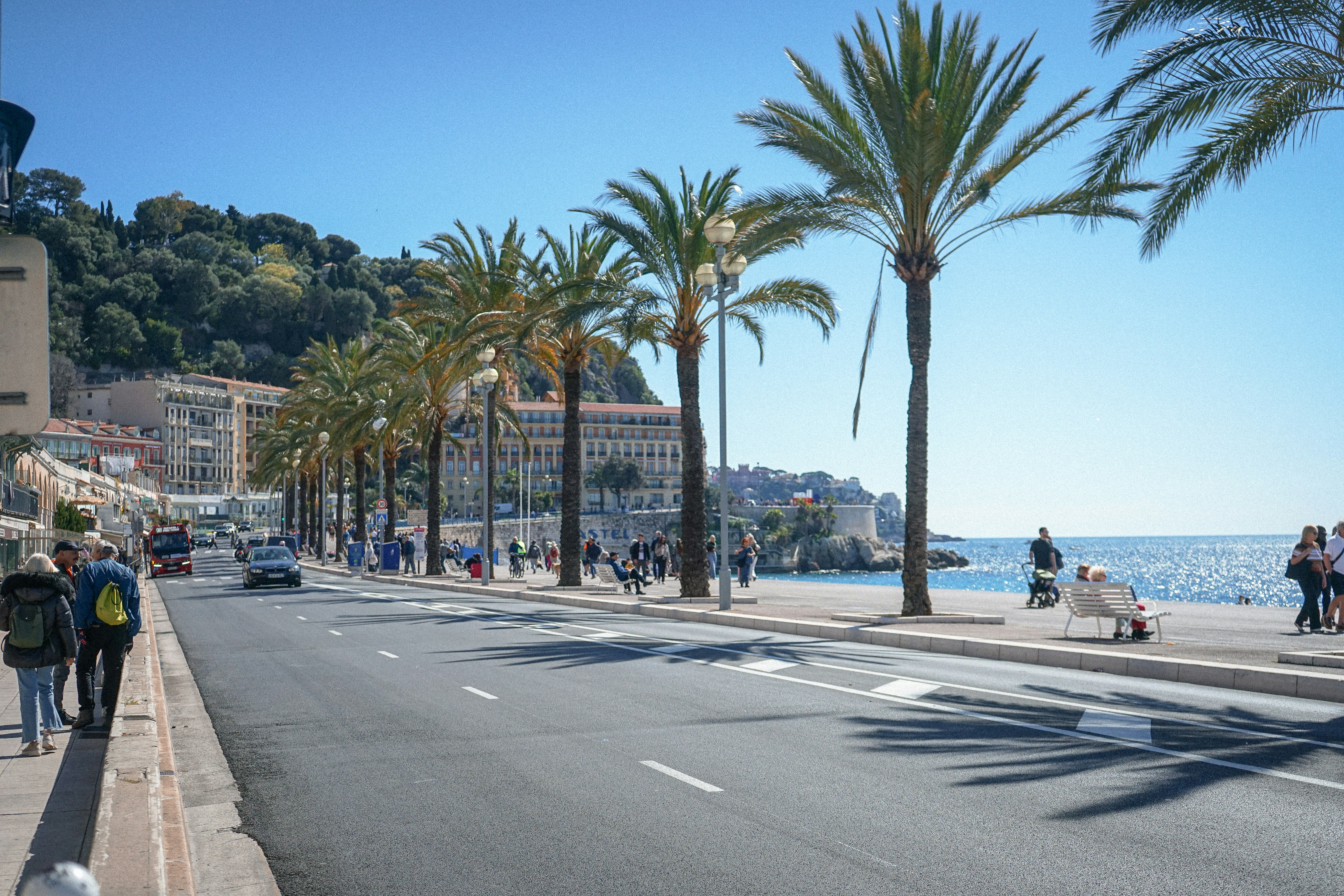 Palm-fringed Promenade by the Sea