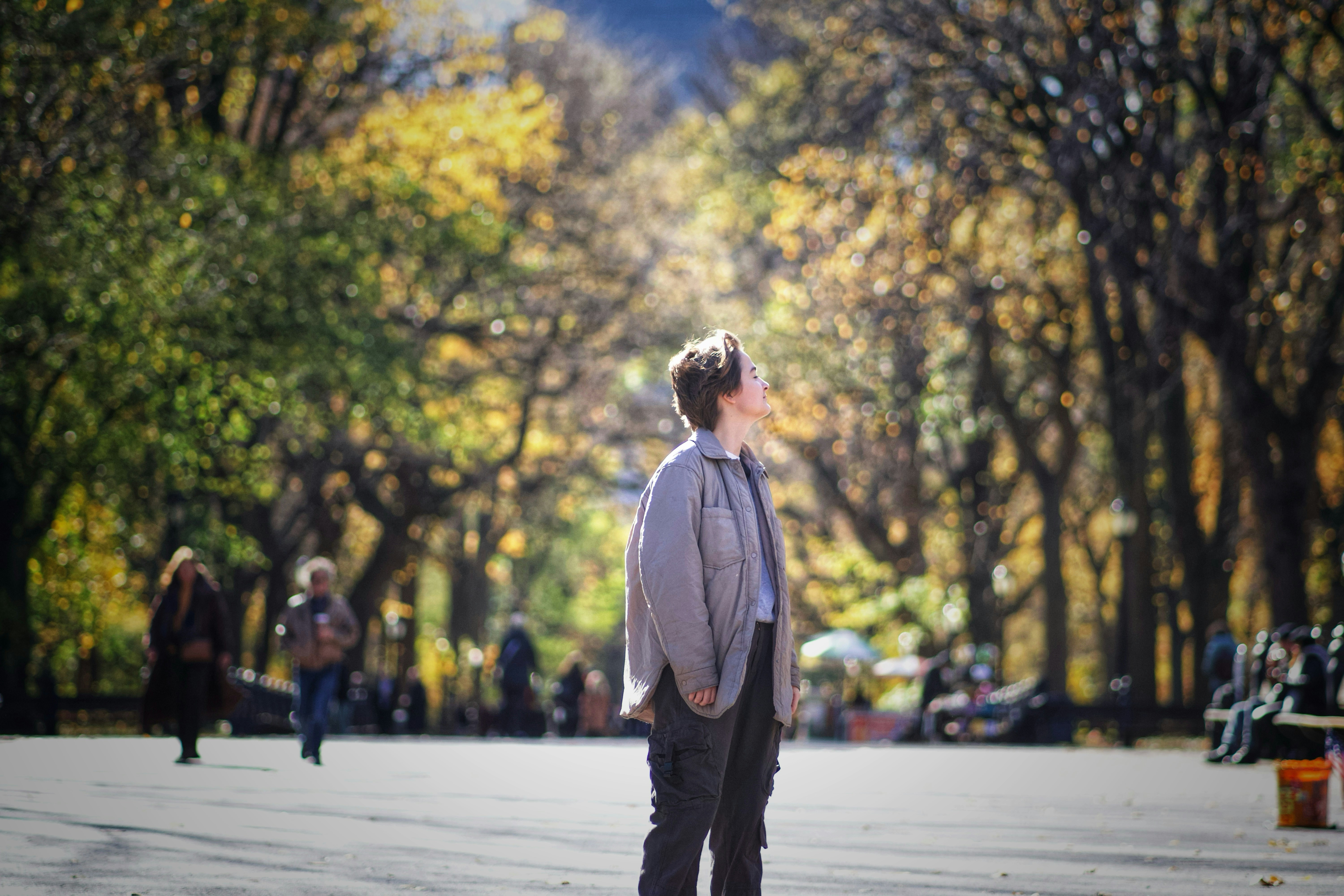  solitary figure in sunlit autumn avenue