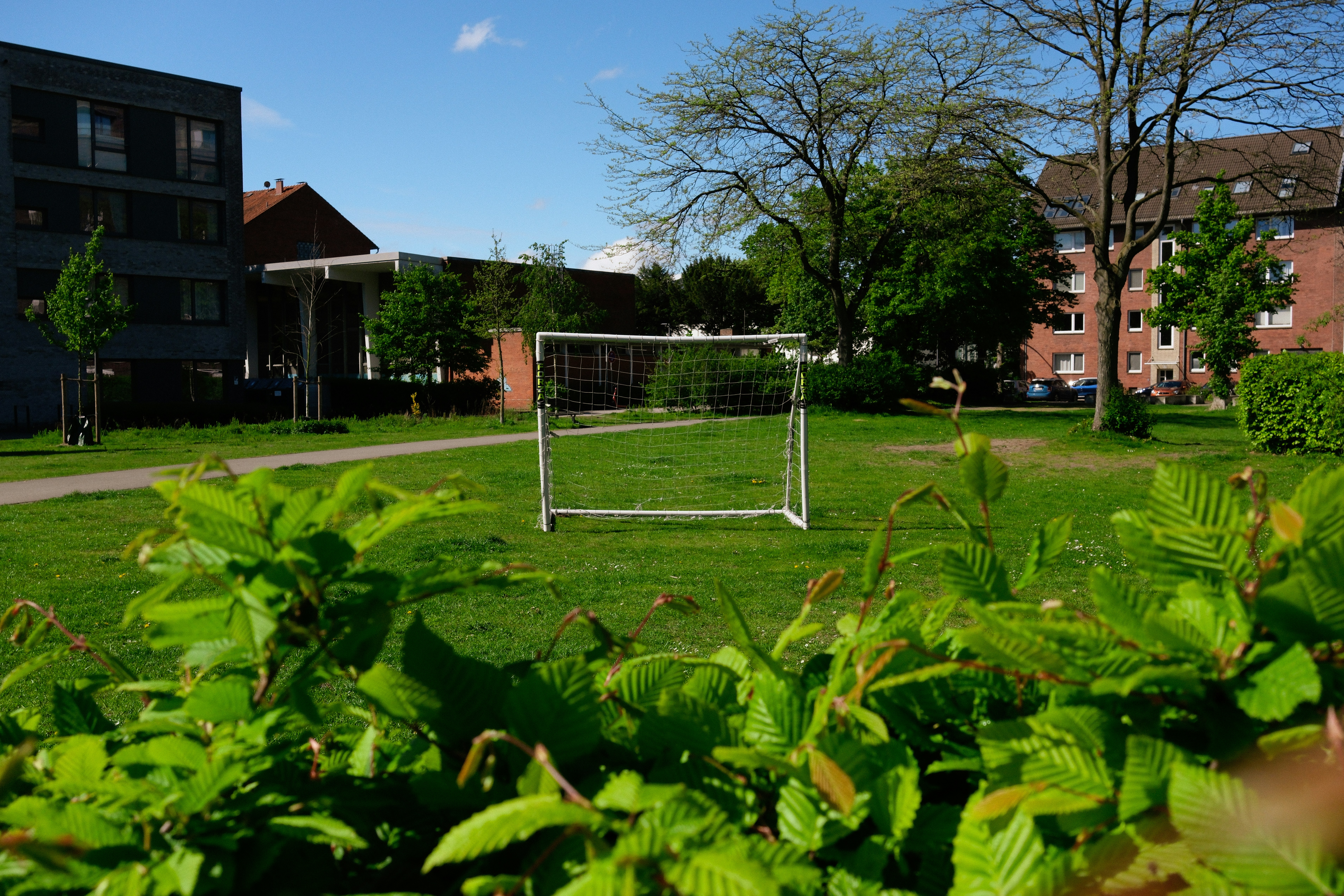 Soccer Goal Framed by Urban Park and Framing Foliage