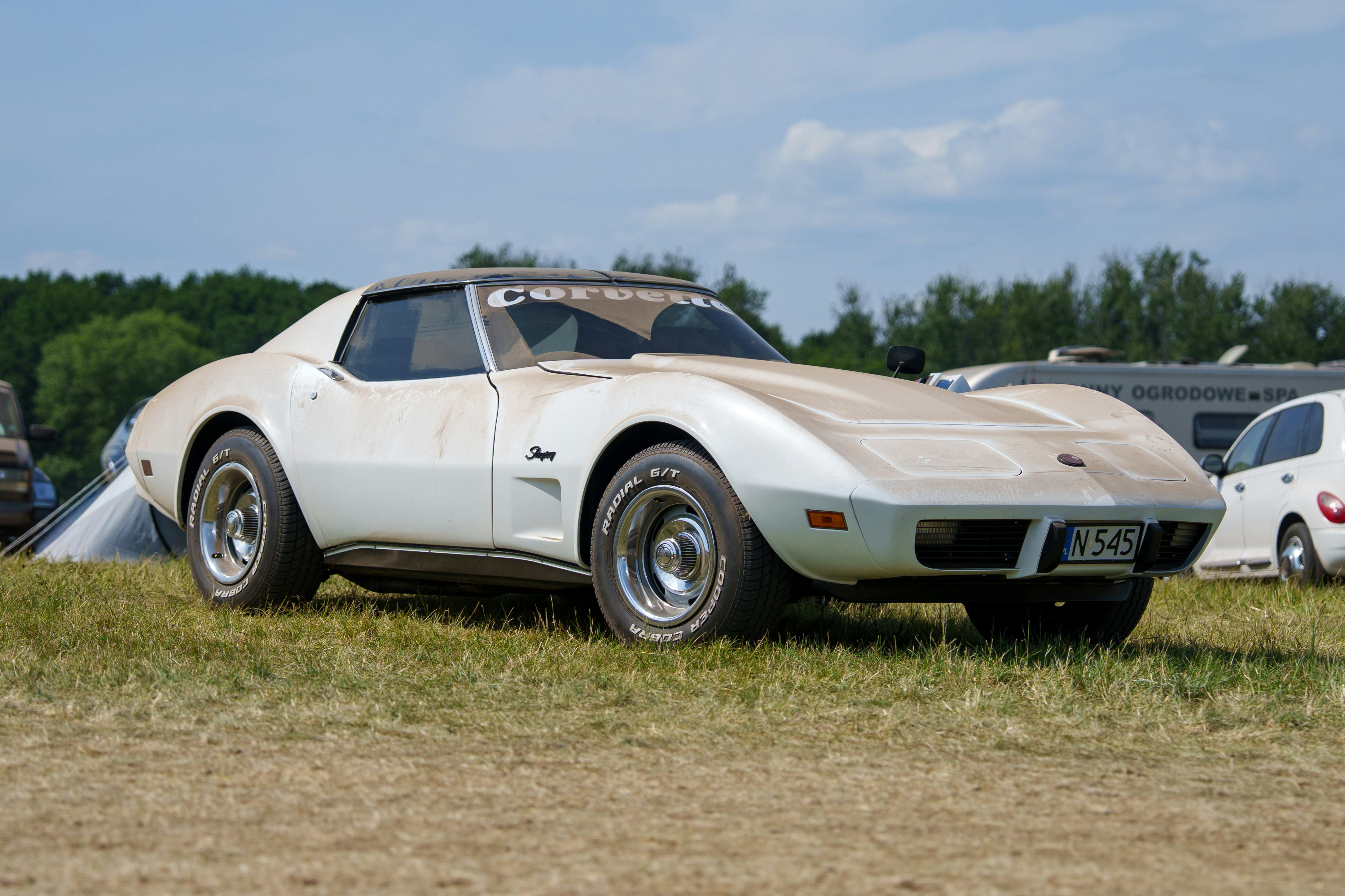 Low Sunlit Stance: A Classic Corvette Resting on Parched Grass