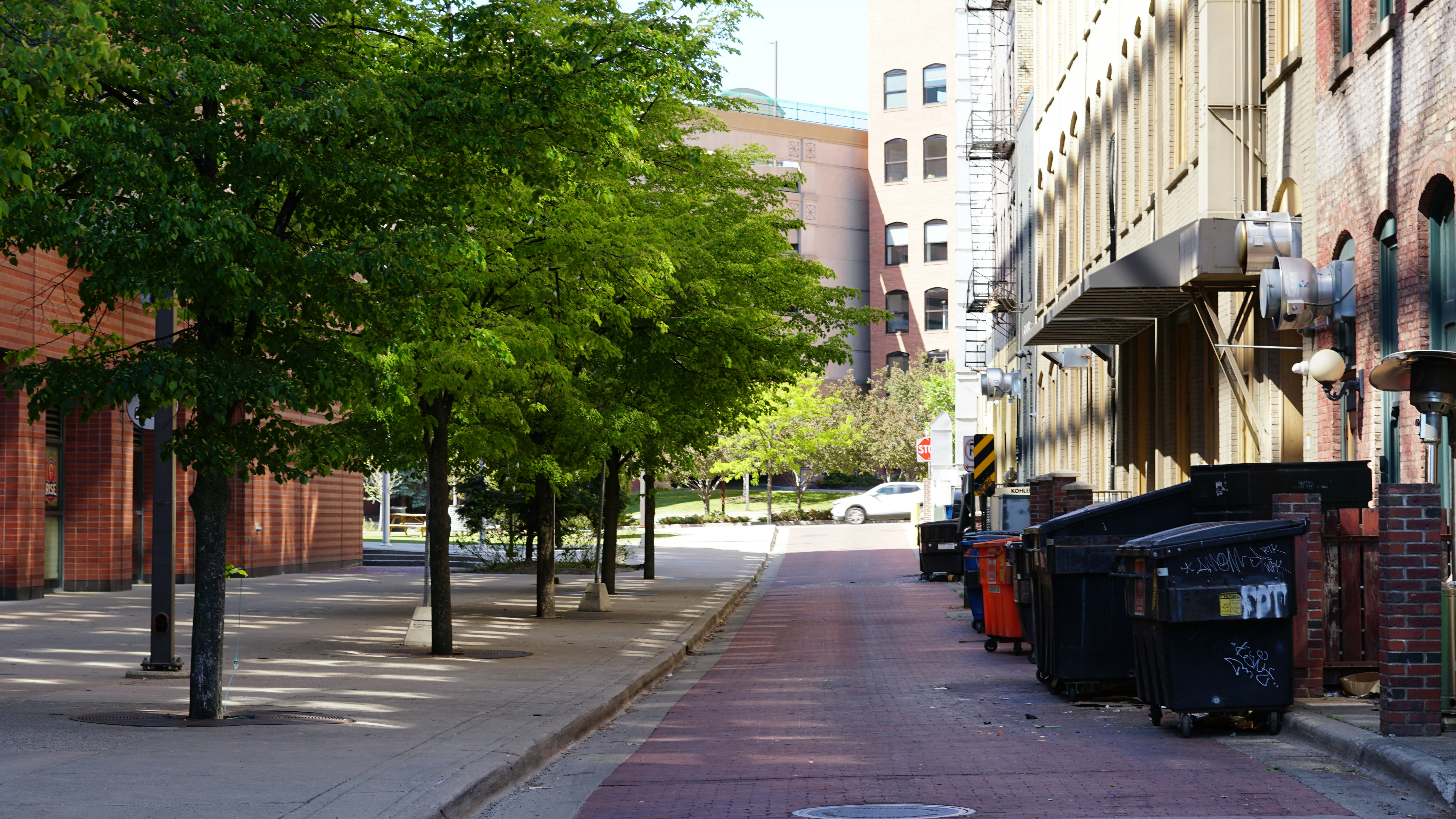Sunlit Street Corridor Bordered by Trees and Urban Backstreets