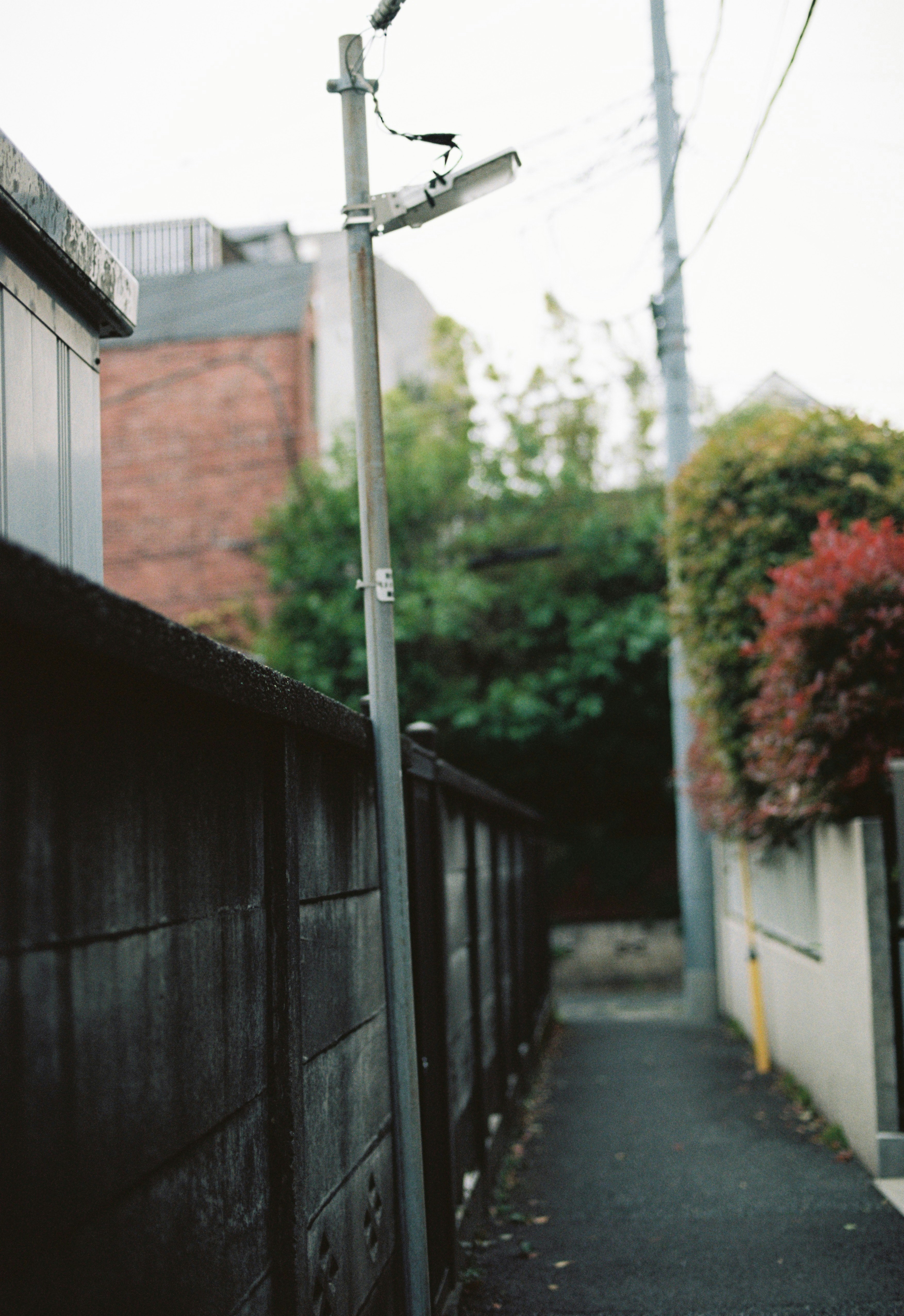 Quiet Alleyway Horizon: A Tall Utility Pole Anchors a Narrow Path