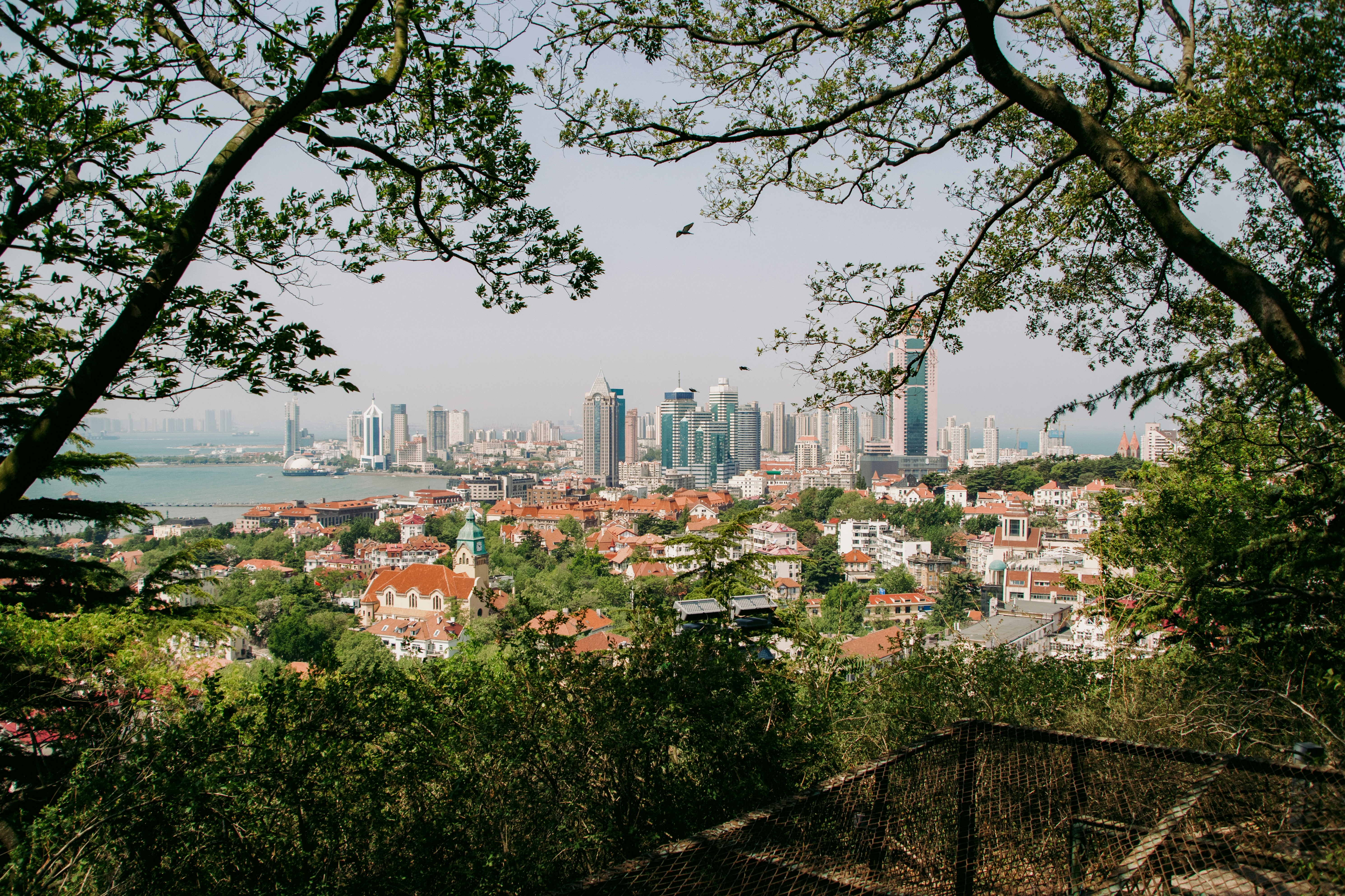 Harbor City Framed by Green Arches