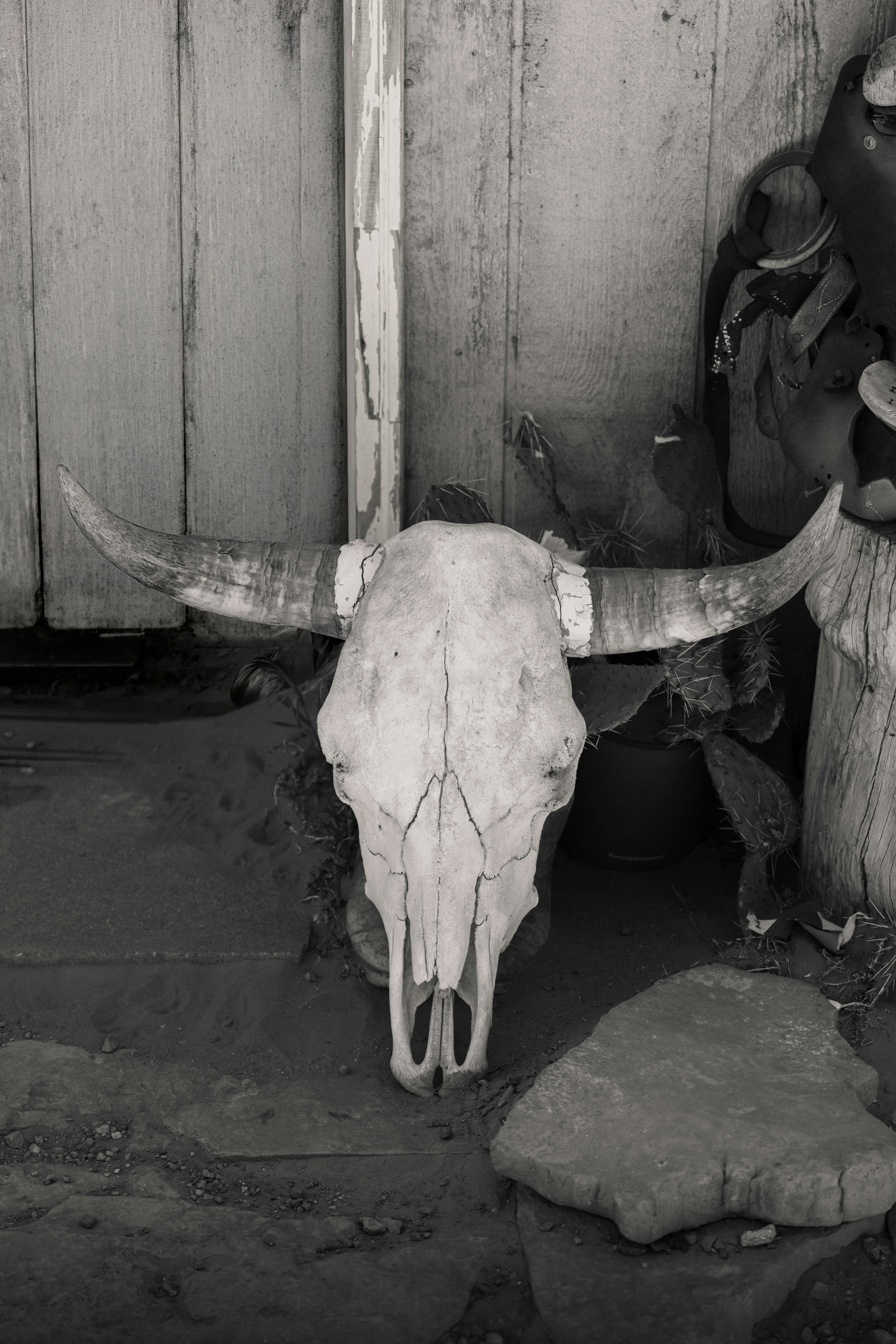 Horned Skull Watcher at the Threshold