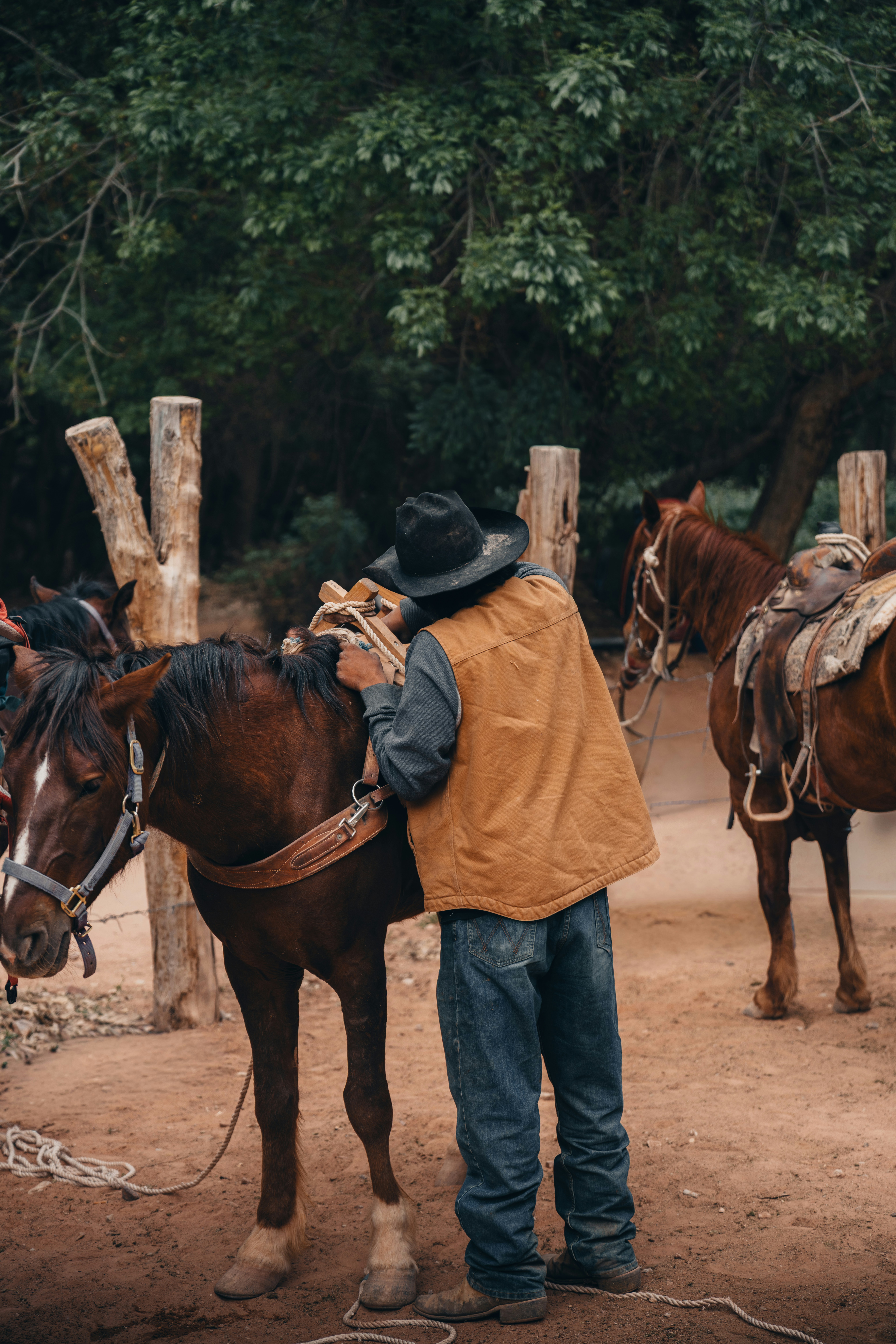 Hands-on Saddle: A Cowboy Preparing a Horse in a Rustic Corral