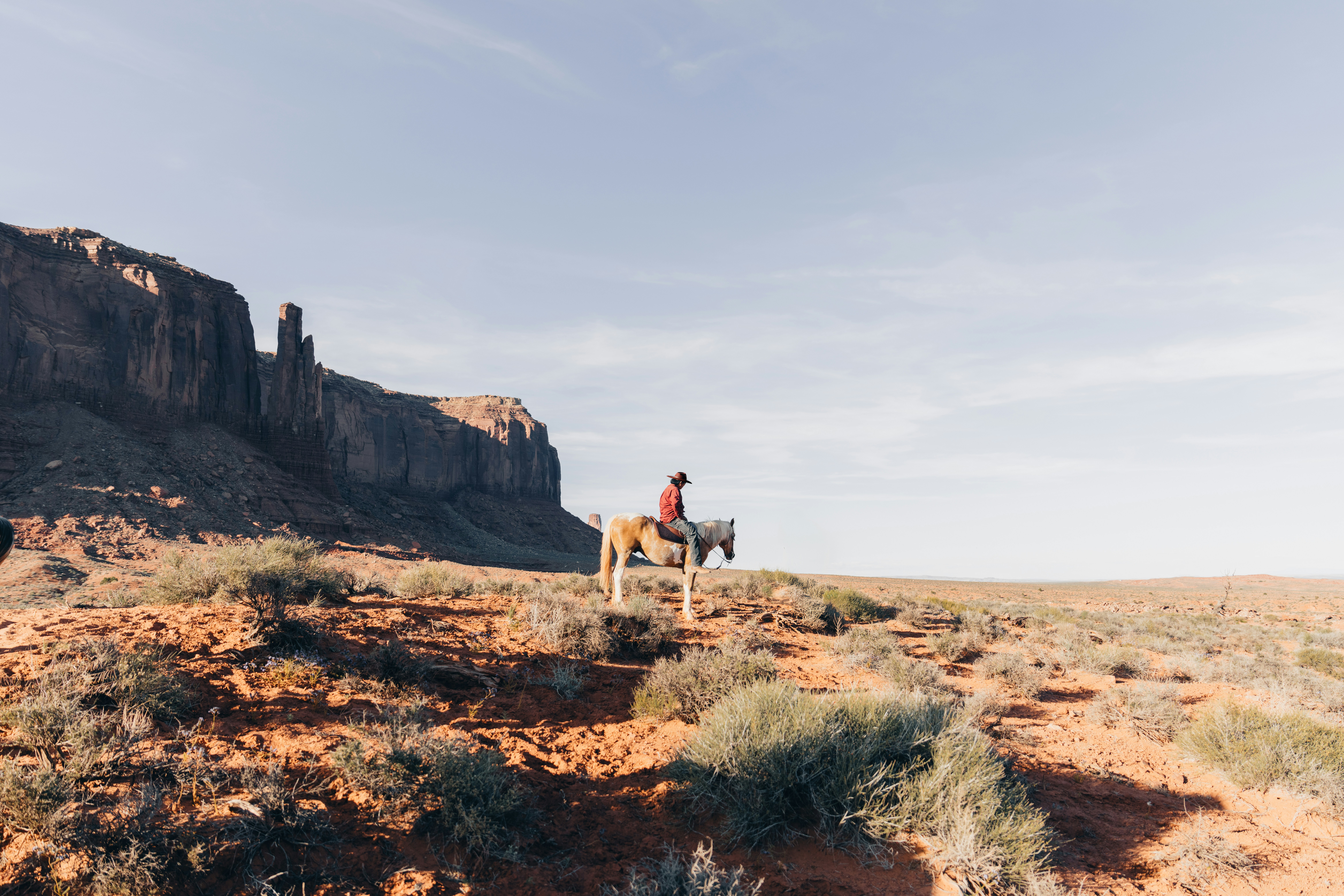 Person on horseback in a vast desert landscape.
