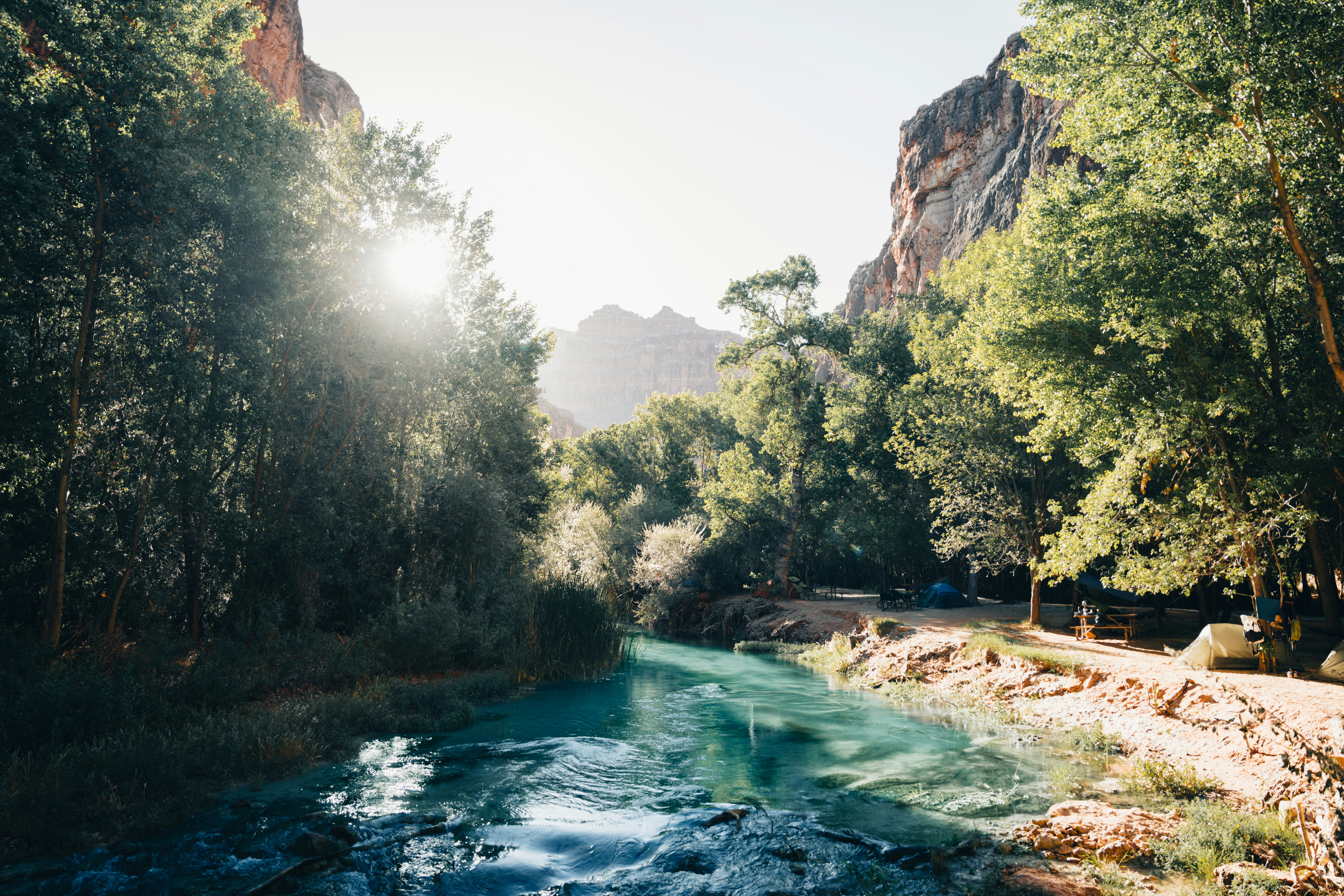 Sunlit Gorge: A Verdant River Winding Through Canyon Light