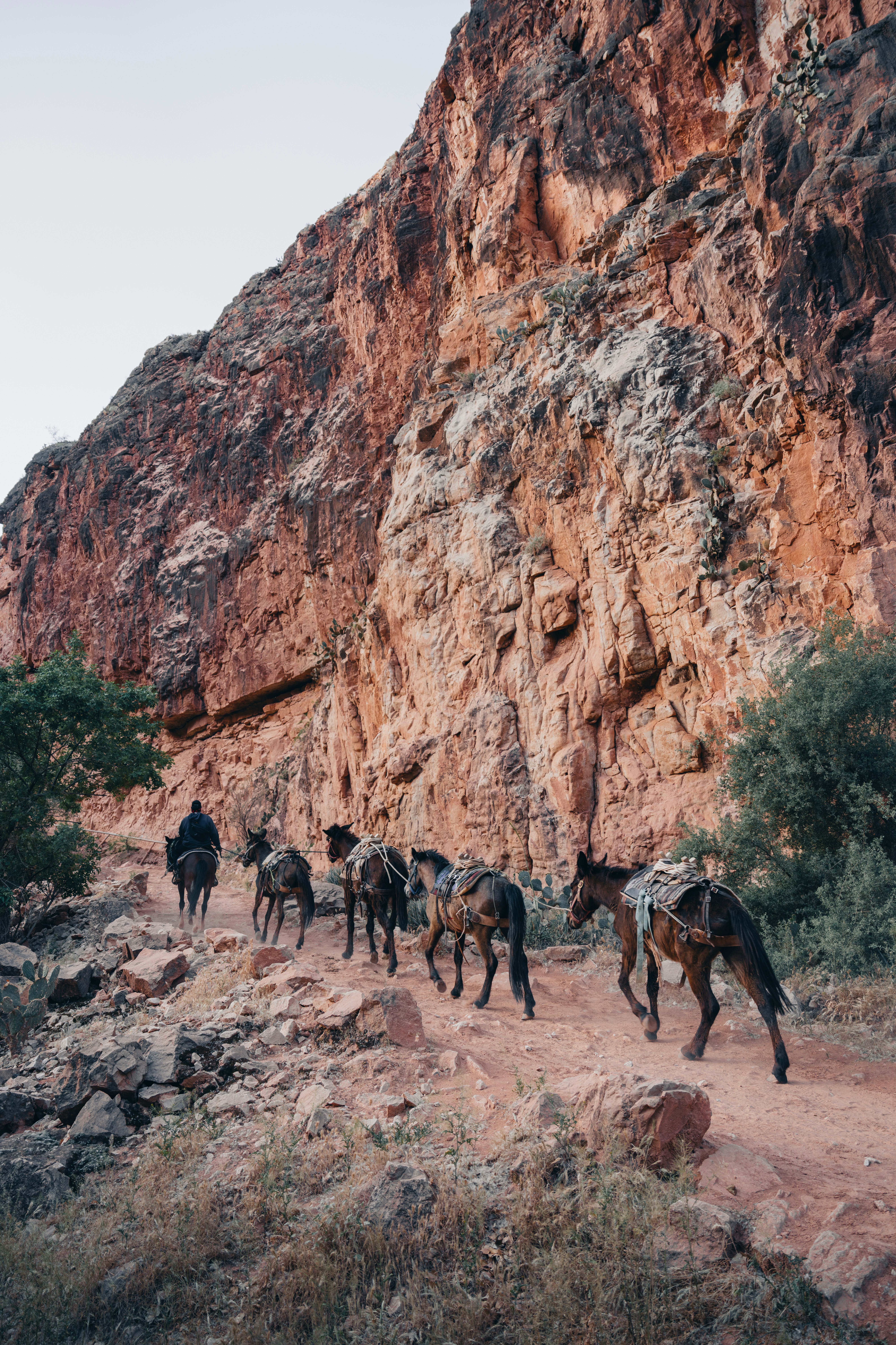 Cavalcade Along a Desert Cliff