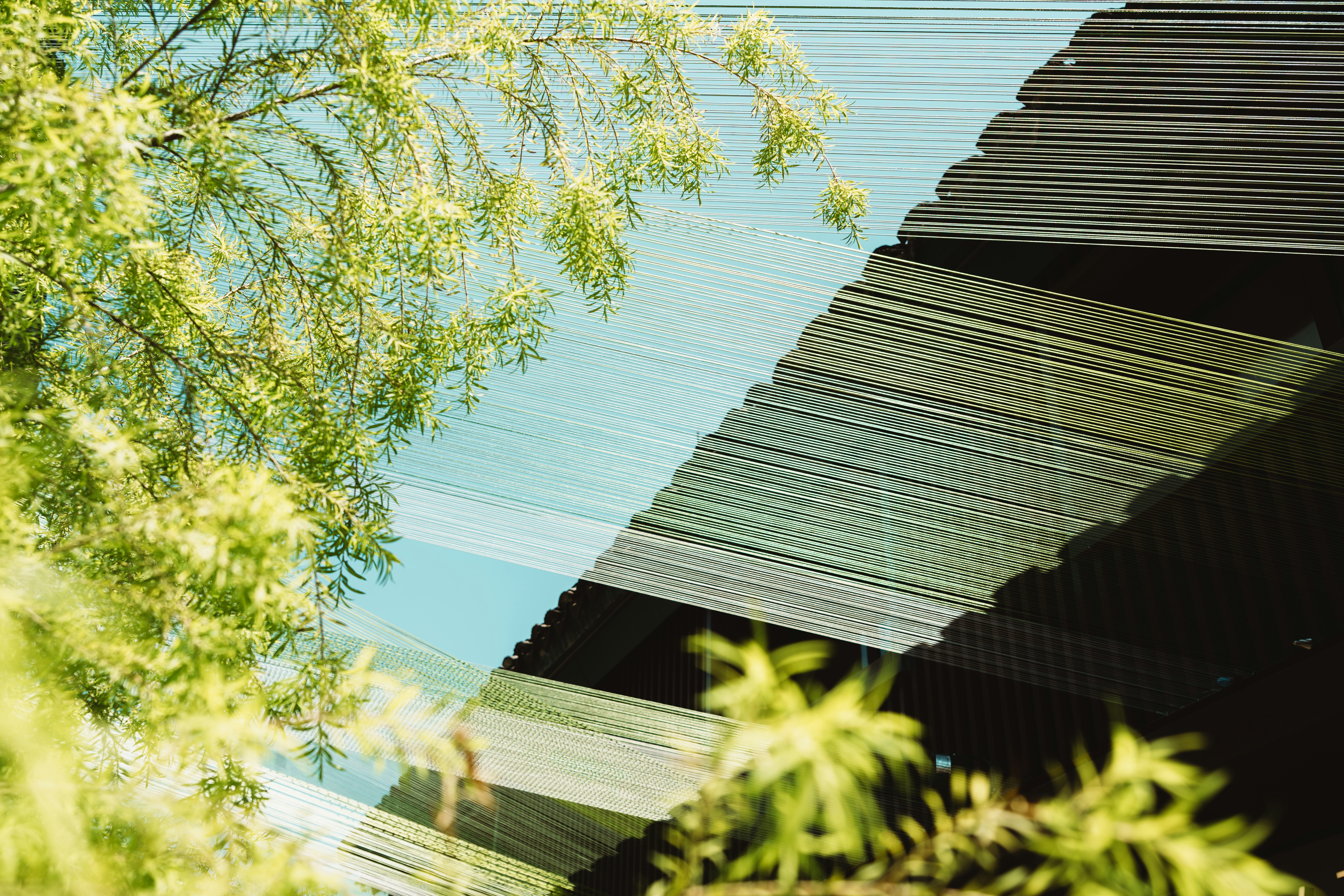 Striated Rails in Dappled Light