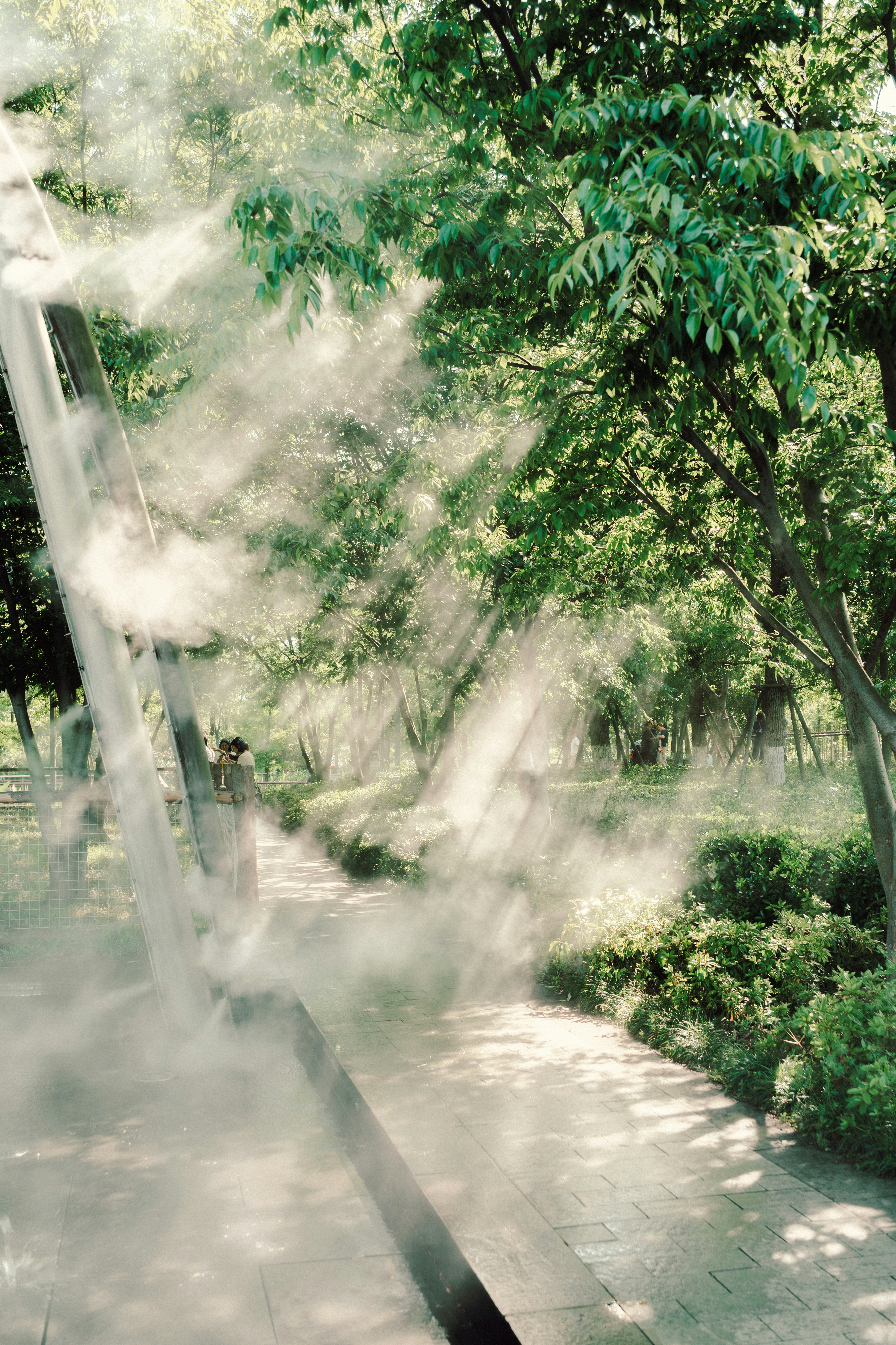 Steam in the Park: Sunbeams through Mist by a Quiet Path