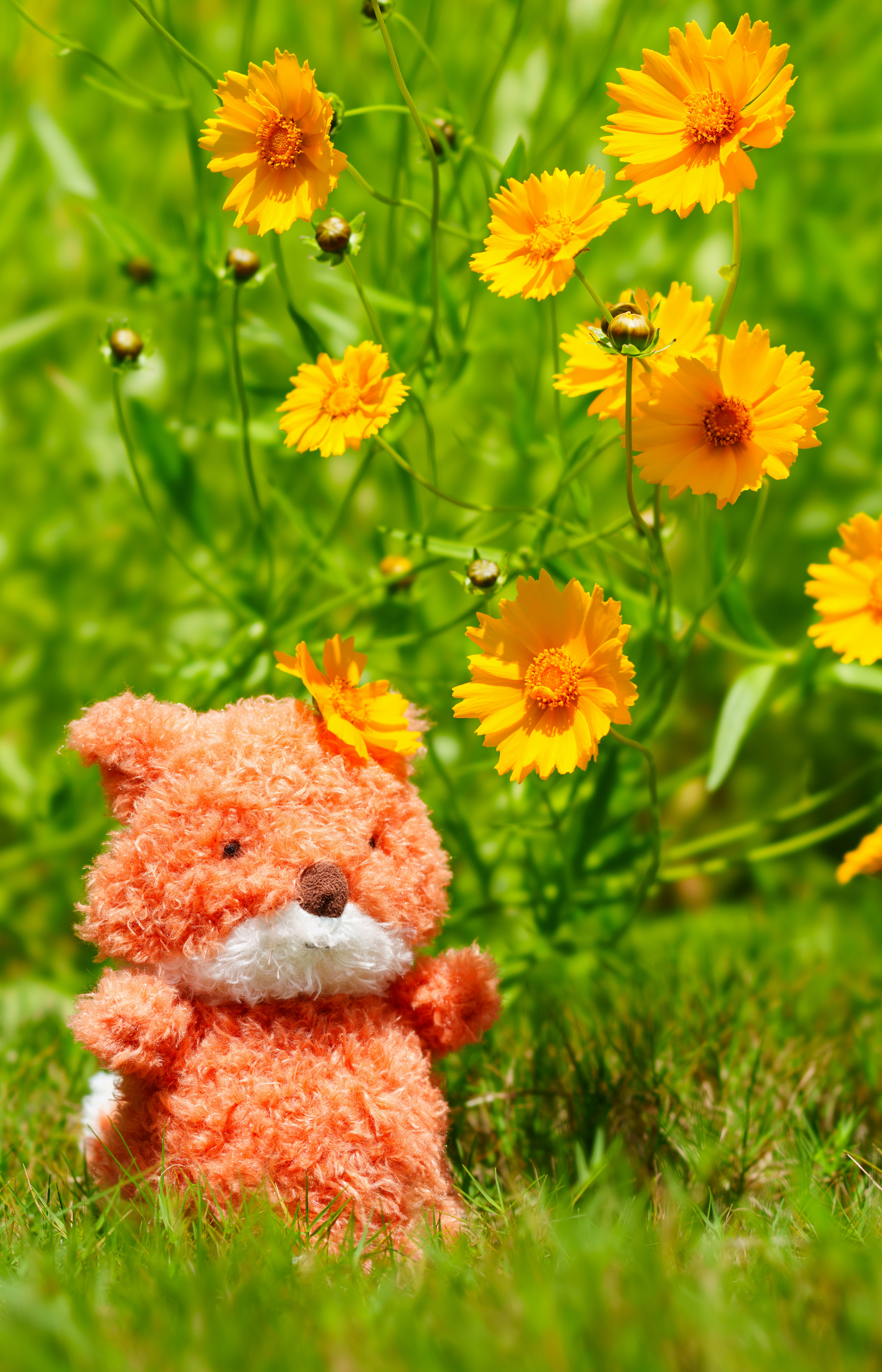 Tiny orange bear among sunlit marigolds