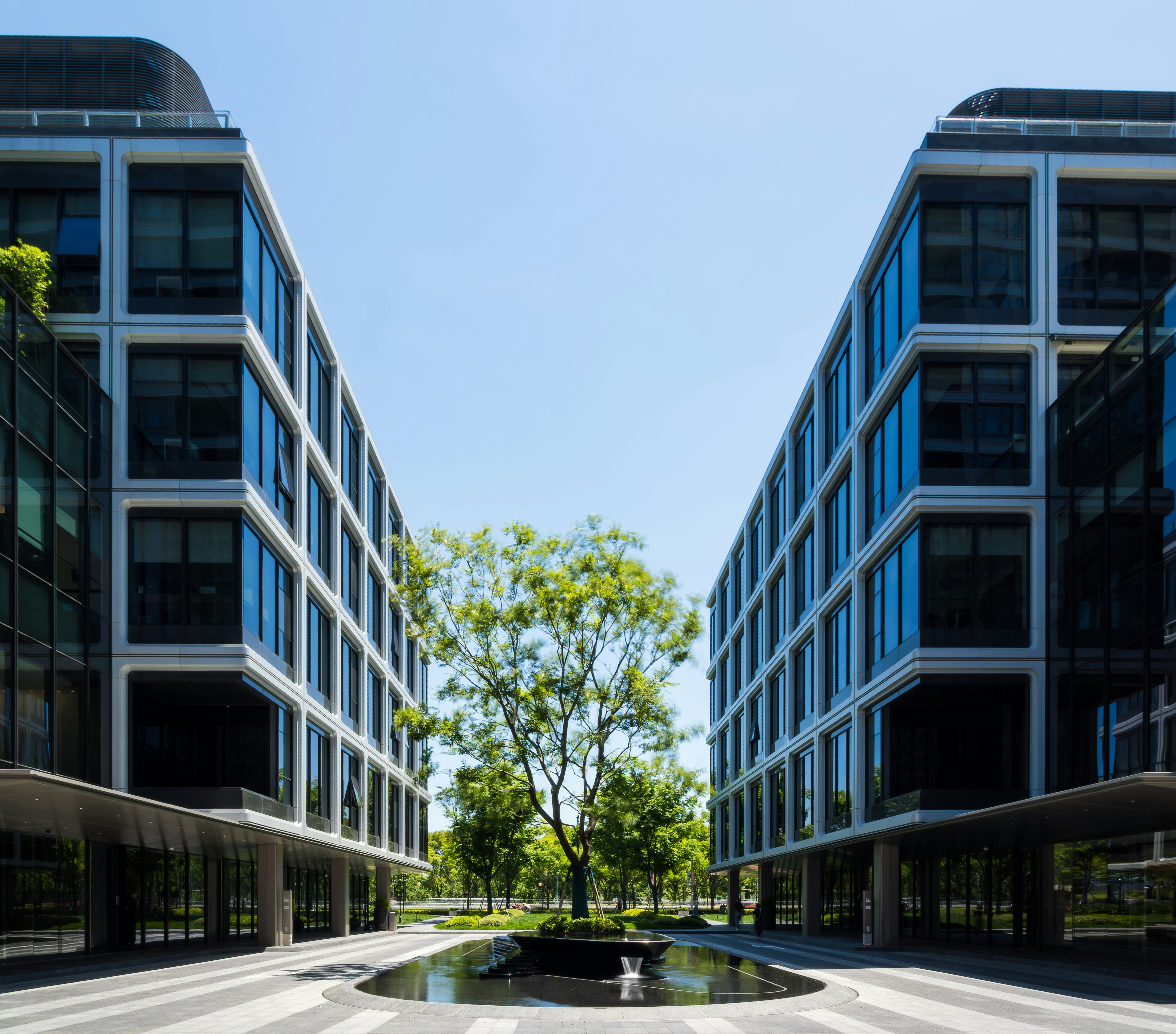 Symmetry at the Center: A Tree Framed by Modern Courtyard Towers