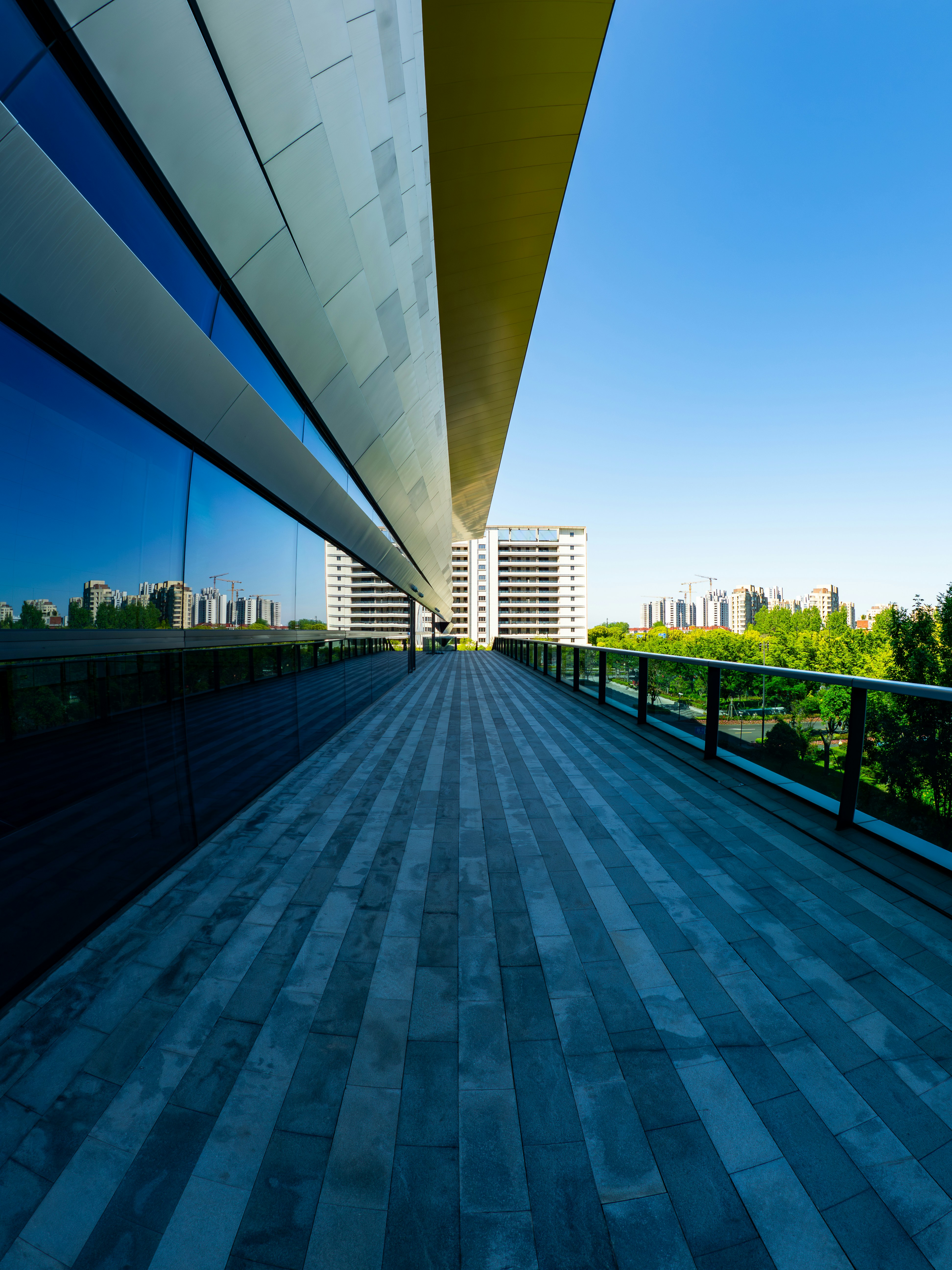 Endless Corridor: Glass, Steel and Sky