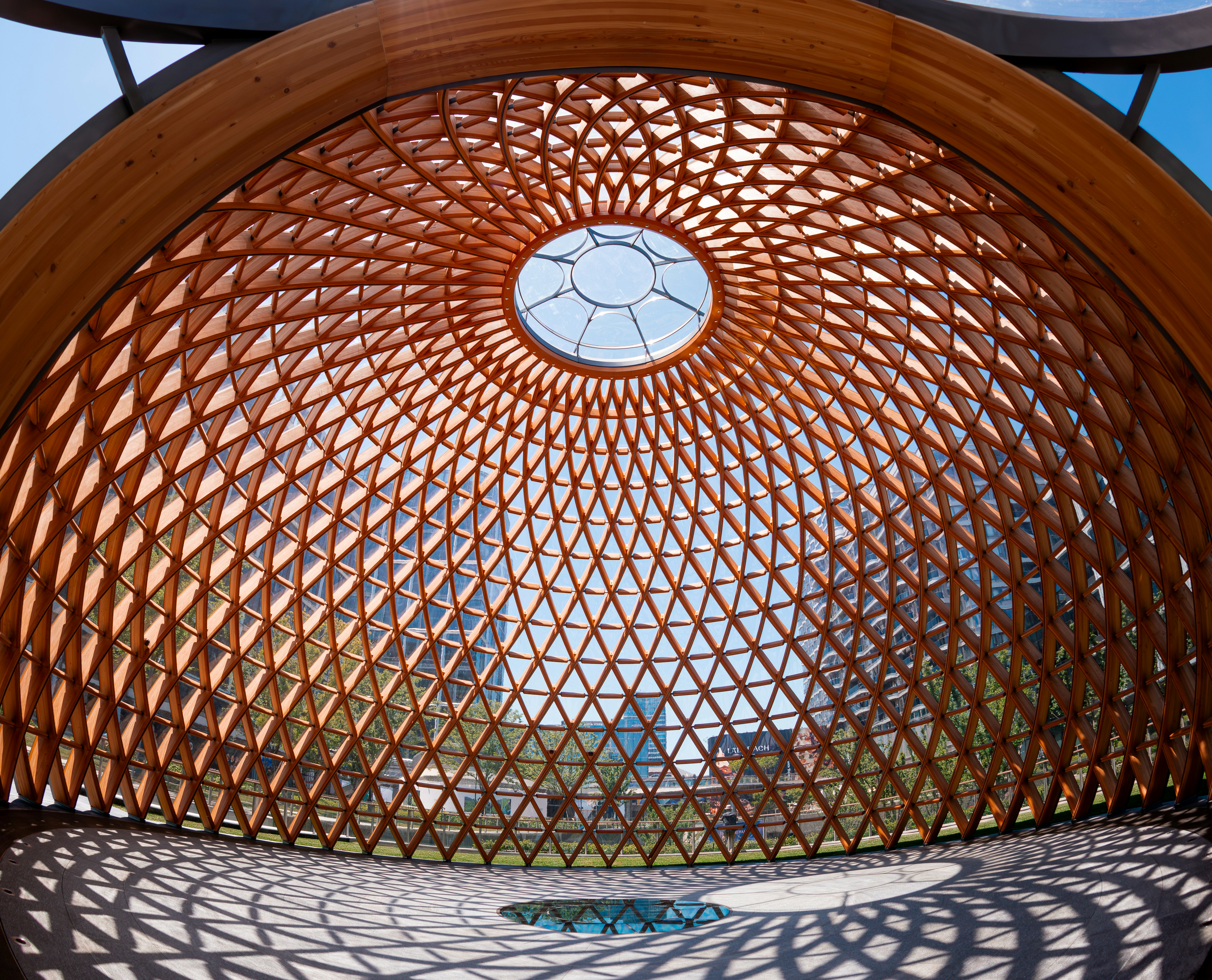 Circular Lattice Cathedral: Inside the Geometric Dome