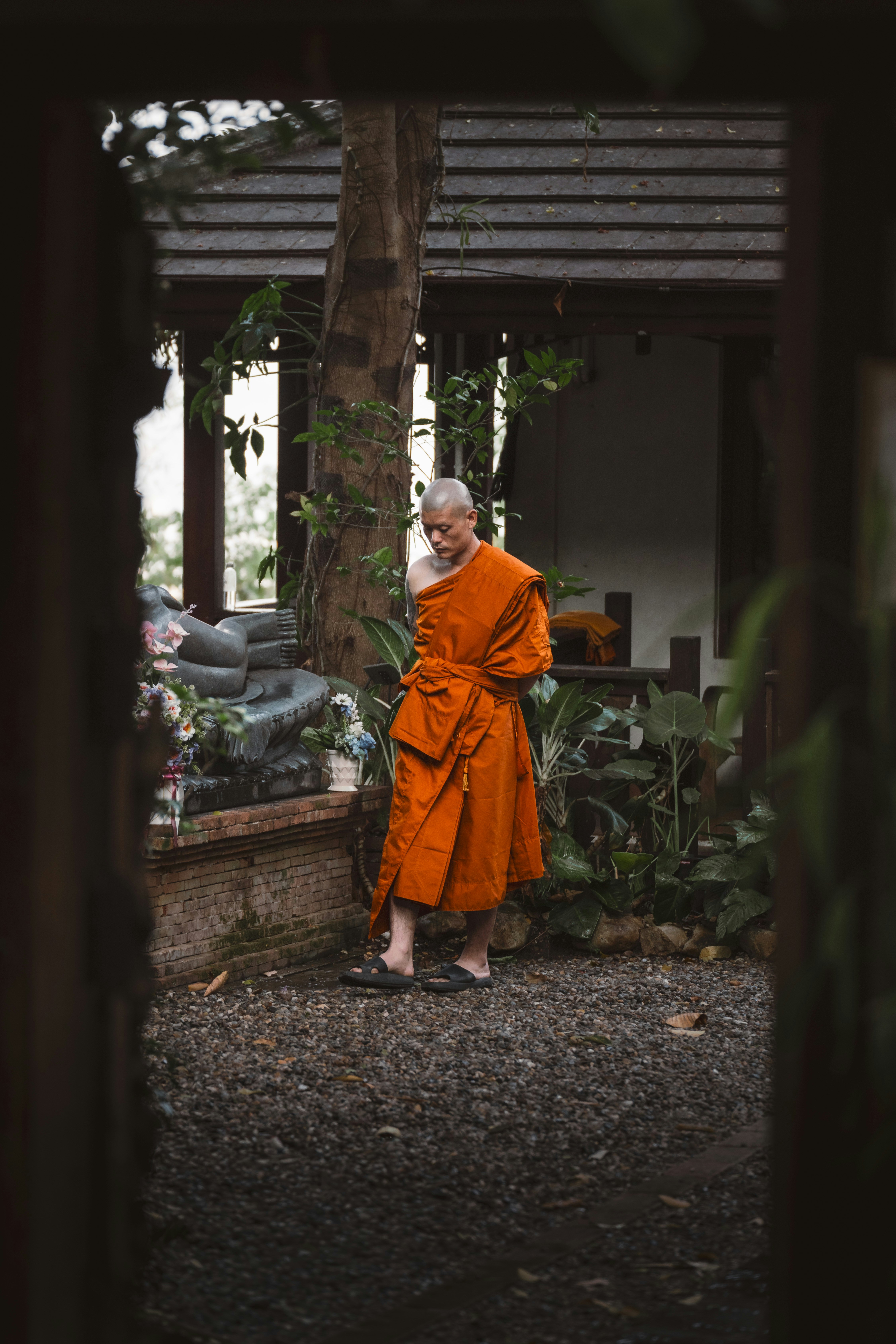 Emergent Calm: A Monk in Orange Within a Quiet Garden Gate