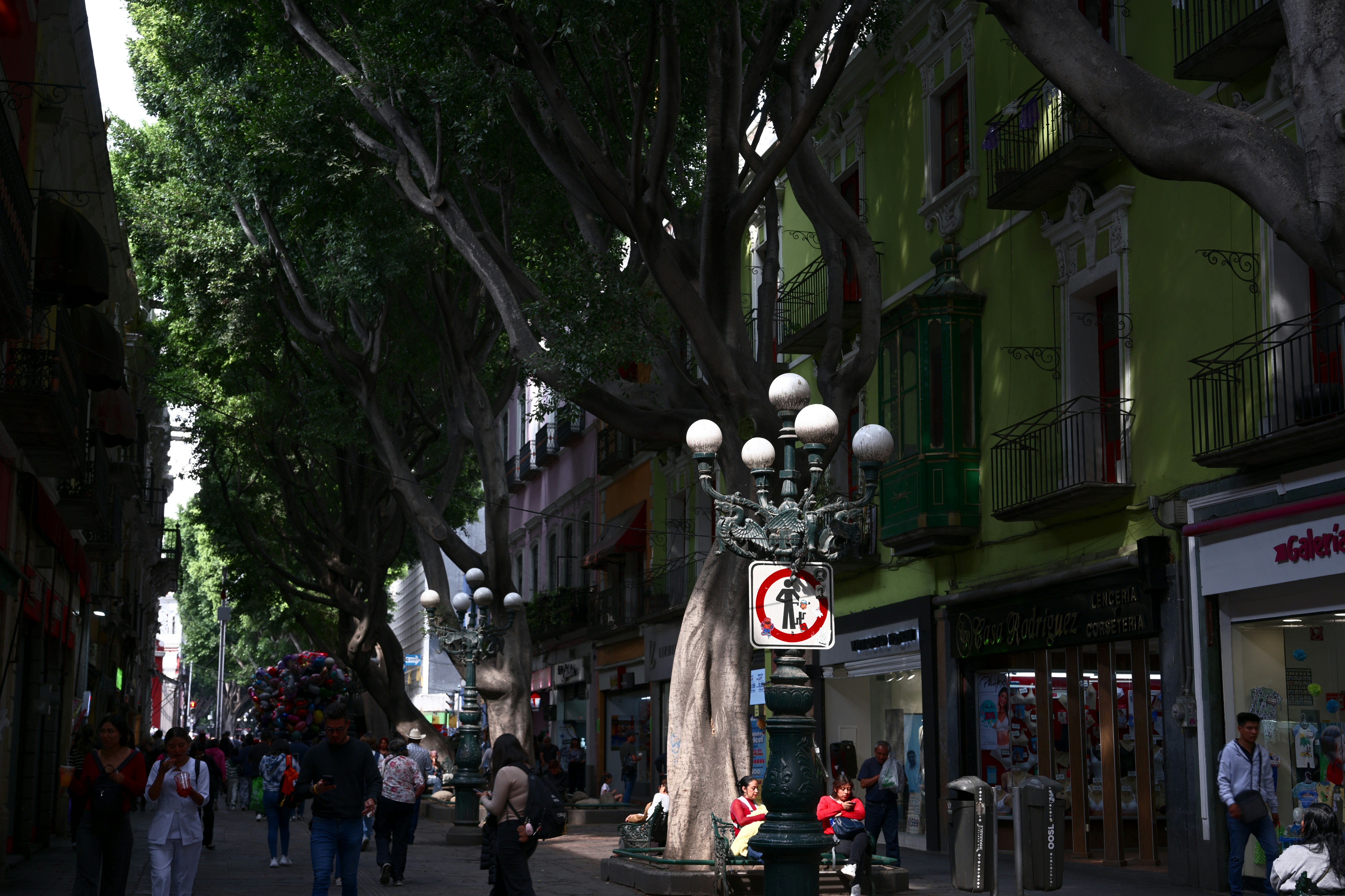 Tree-Lined Plaza Corridor Framed by City Facades